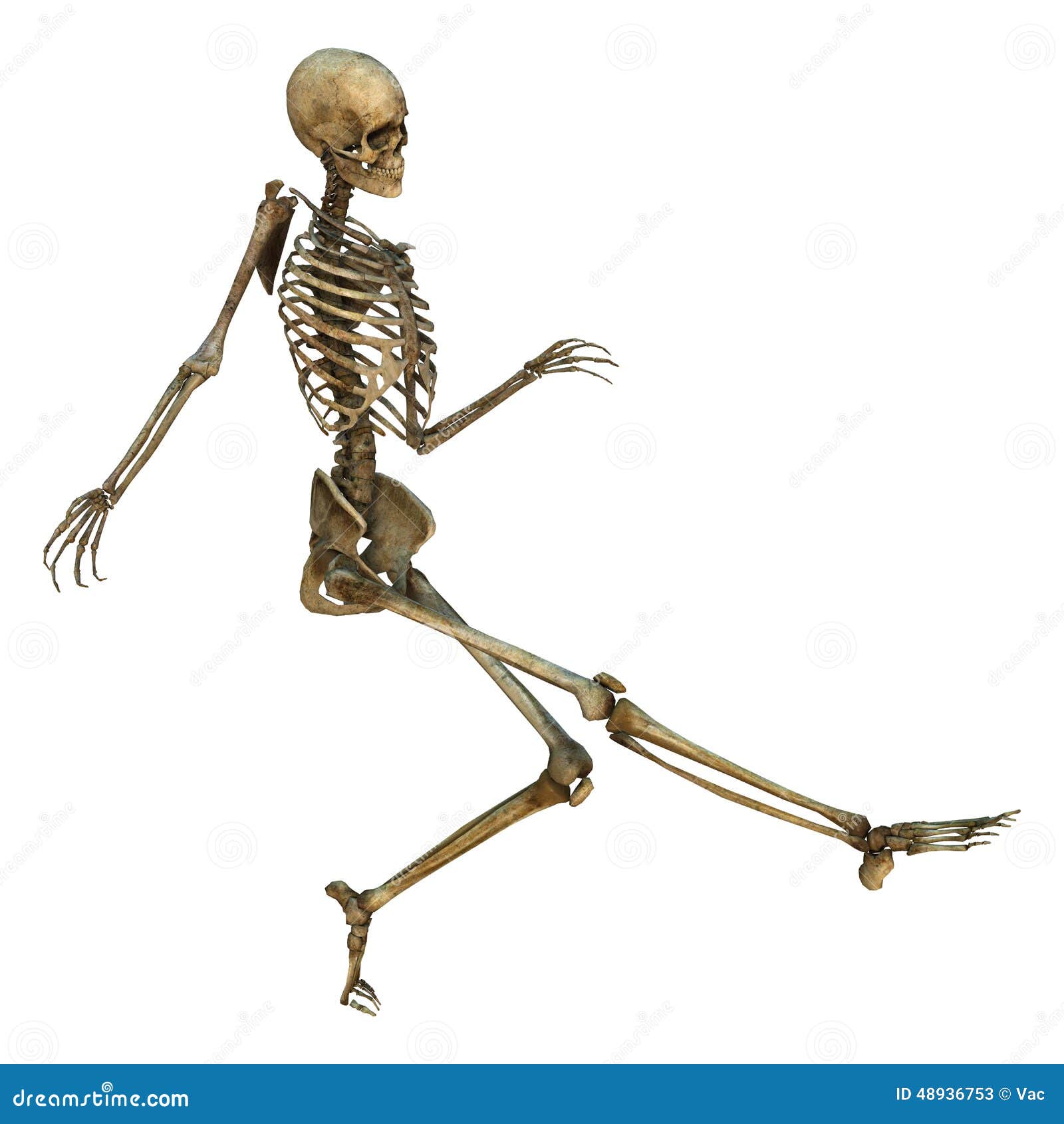 Dansend Skelet stock illustratie. Illustration of geschiktheid - 48936753