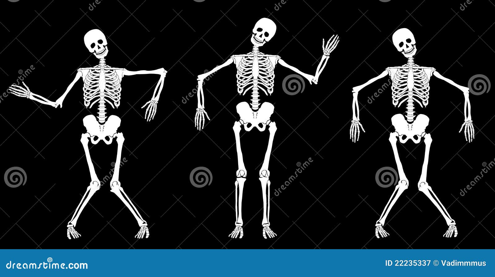 Dansende skeletten vector illustratie. Illustration of schedel - 22235337