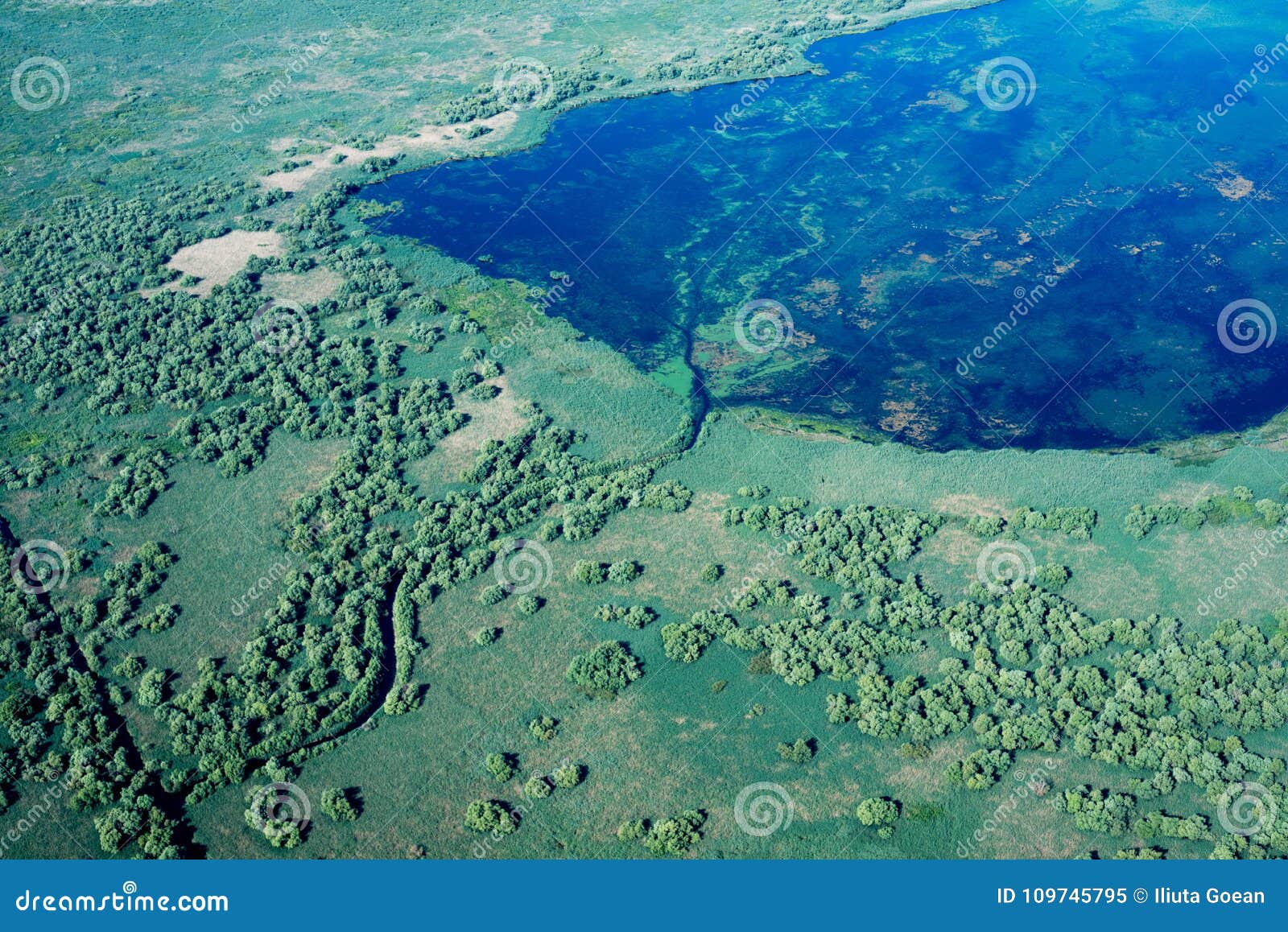 Danube Delta Aerial View Over Unique Nature Stock Image - Image of reed ...