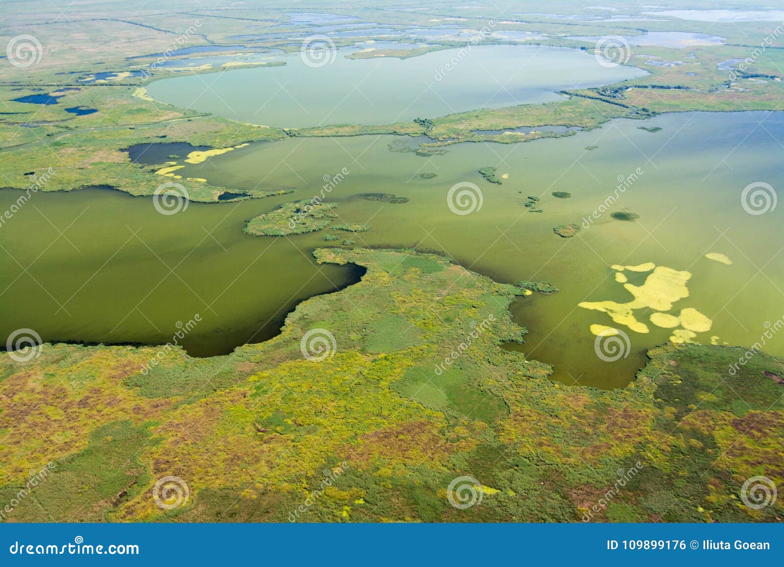 Danube Delta Aerial View Over Unique Nature Stock Photo - Image of ...
