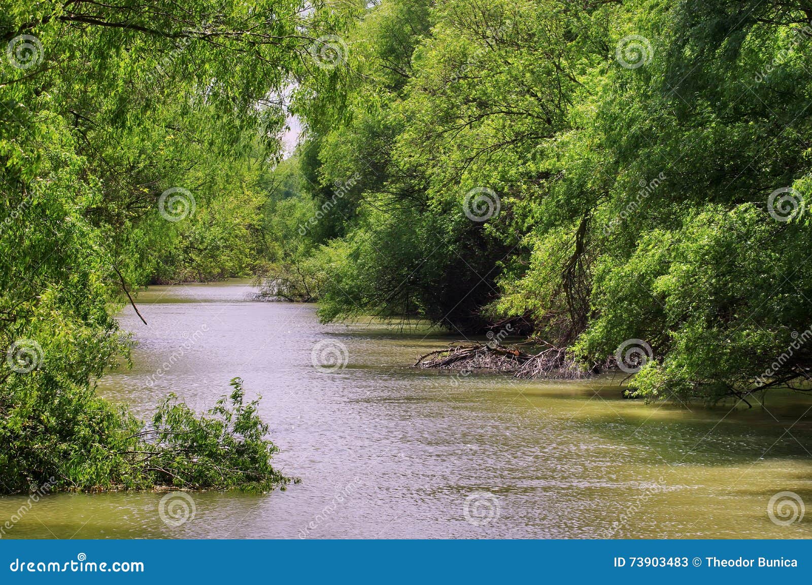 Danube River. Landscape in Natural Reserve of the Danube Delta ...