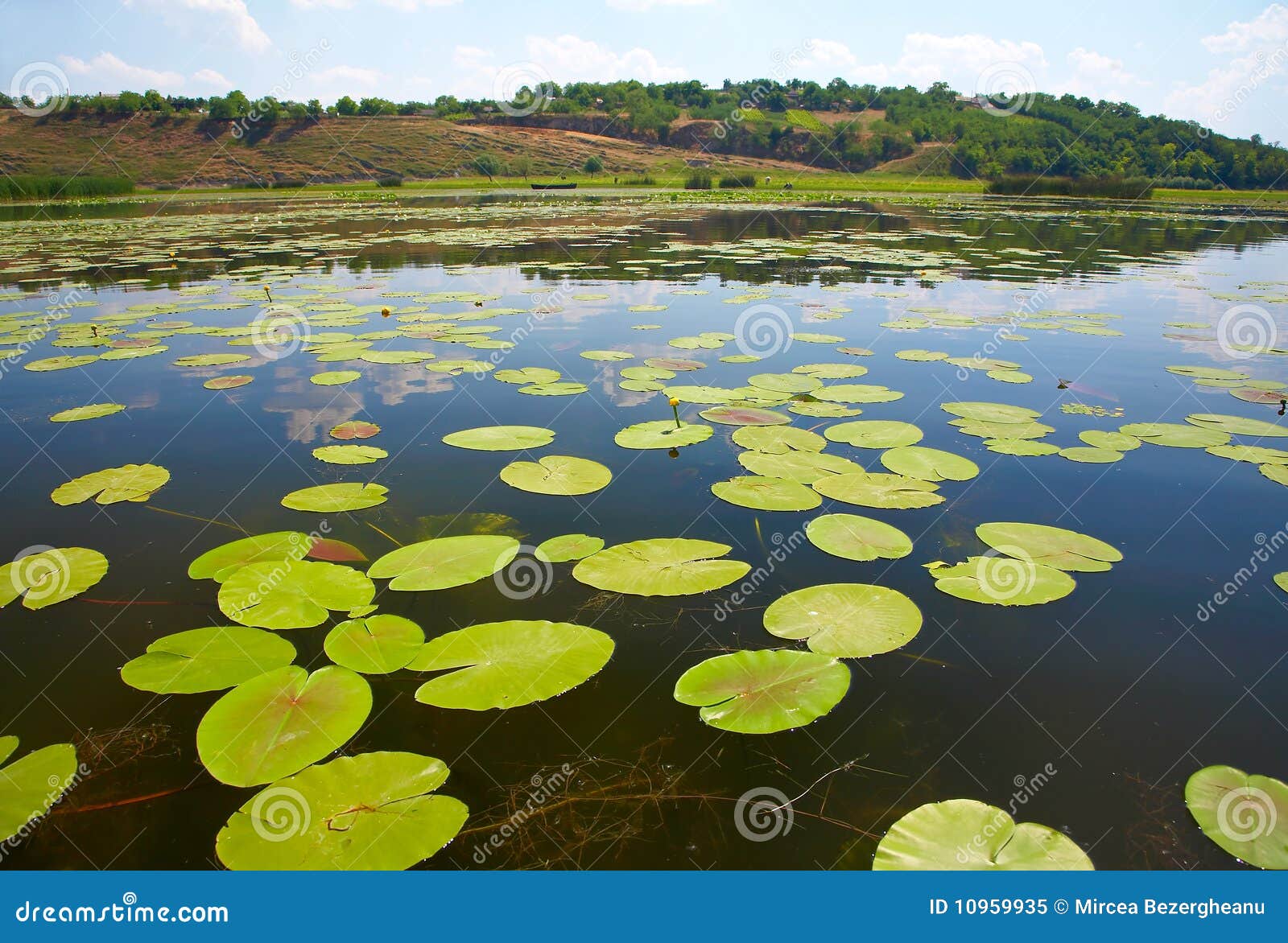 Danube delta landscape stock image. Image of restful - 10959935