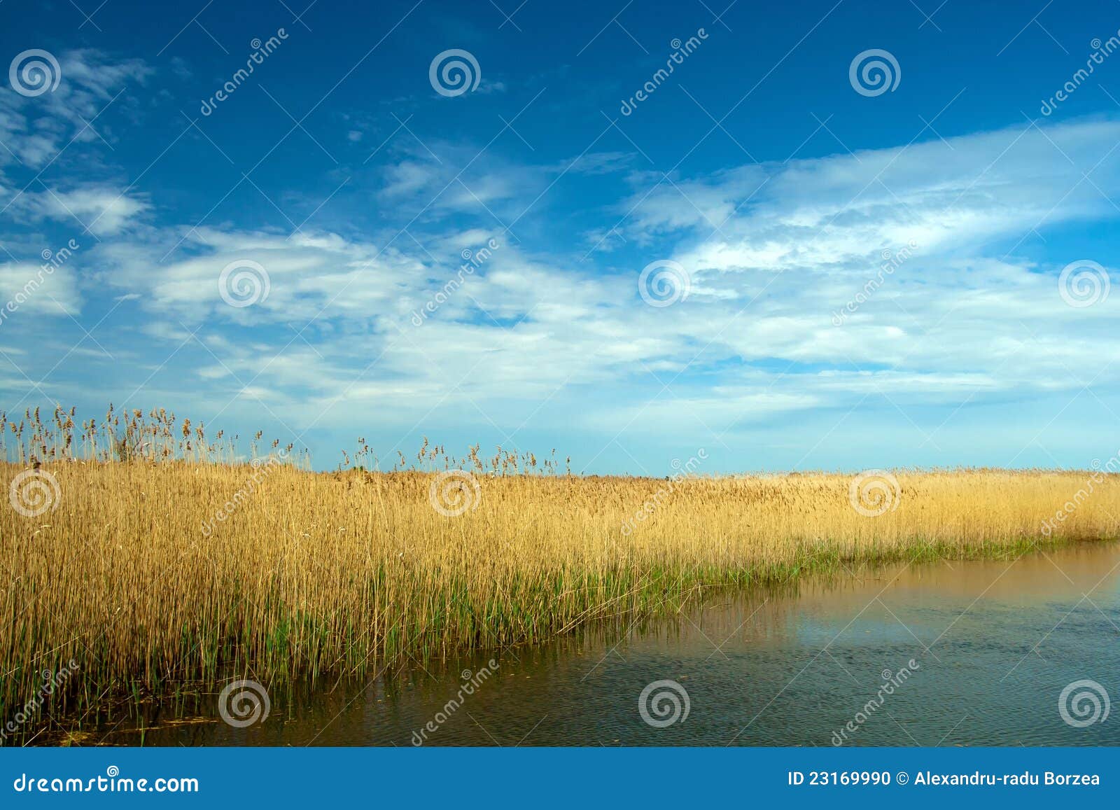 Danube delta landscape stock photo. Image of outdoor - 23169990