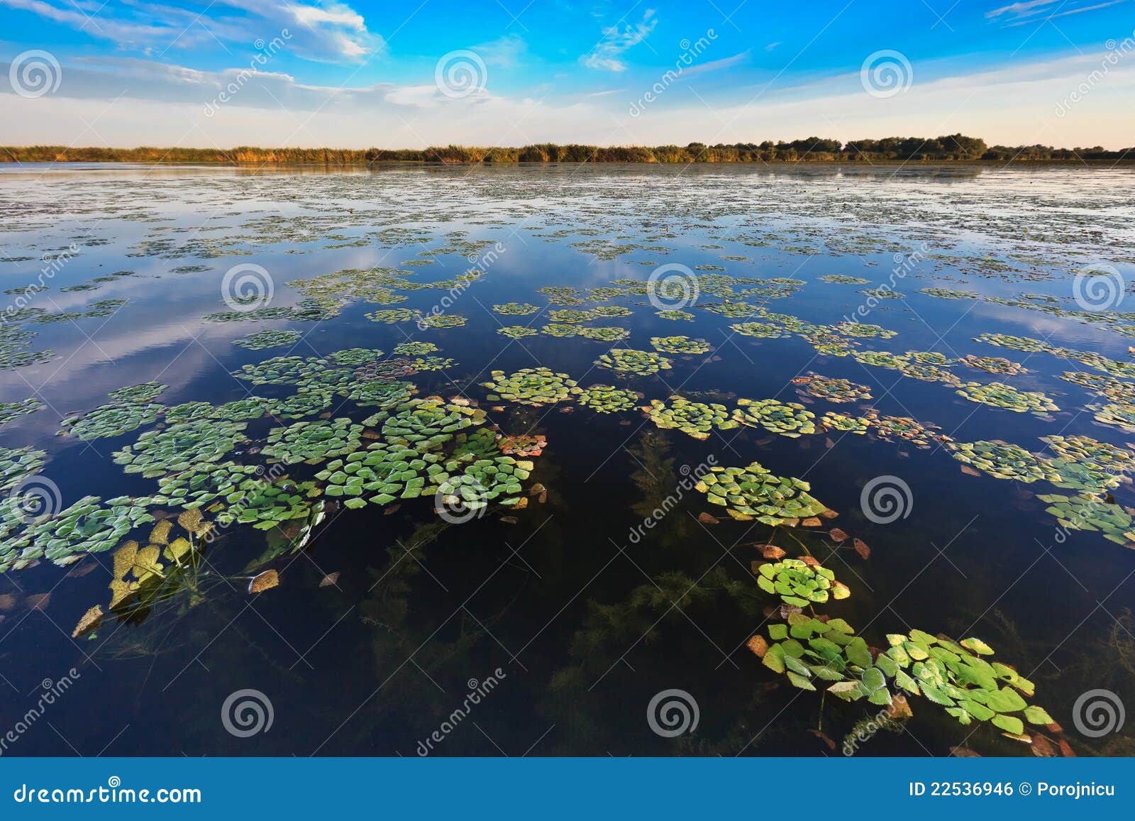 Danube Delta, Romania stock photo. Image of scenic, natural - 22536946
