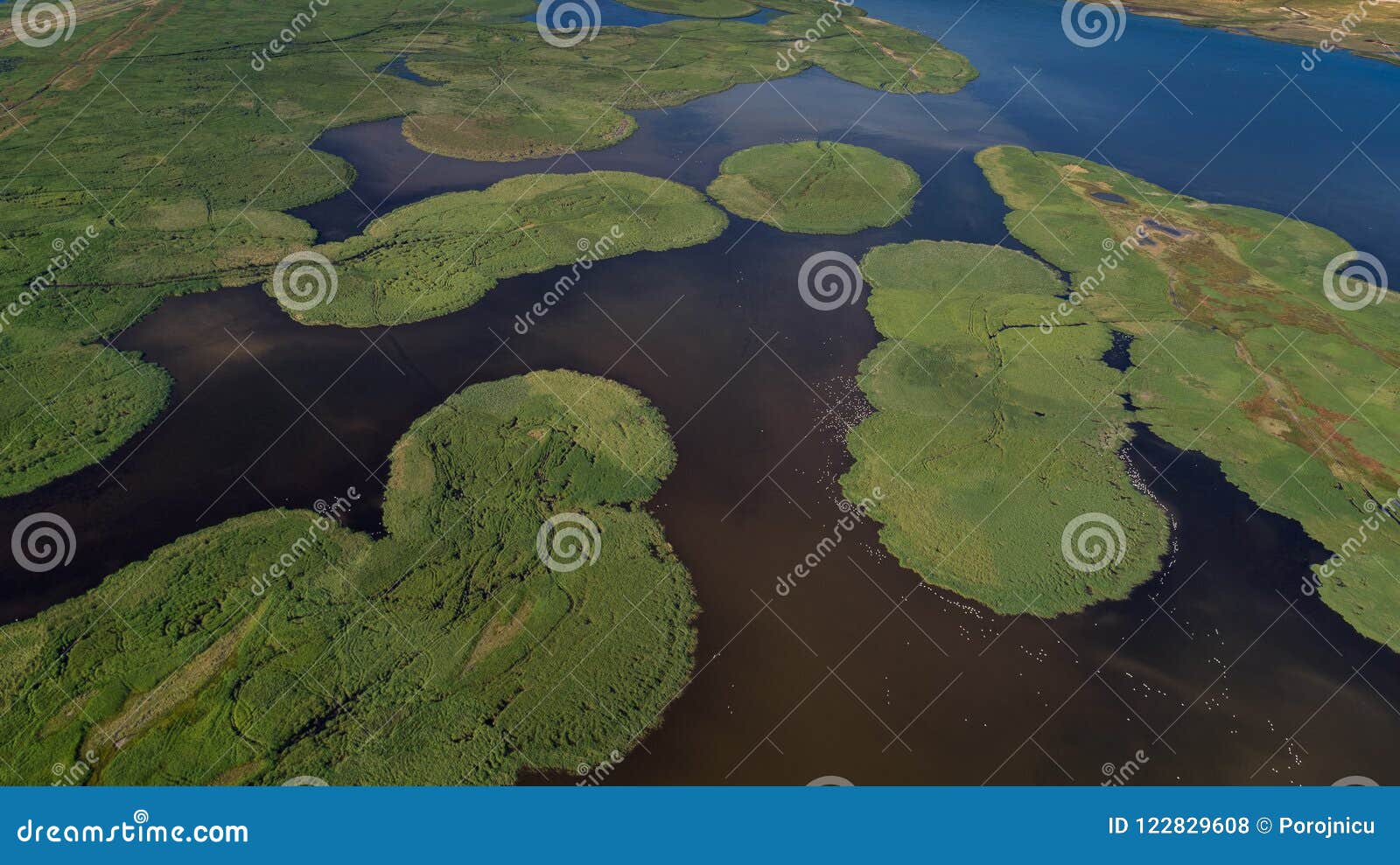 Danube Delta, Romania stock photo. Image of landscape - 122829608