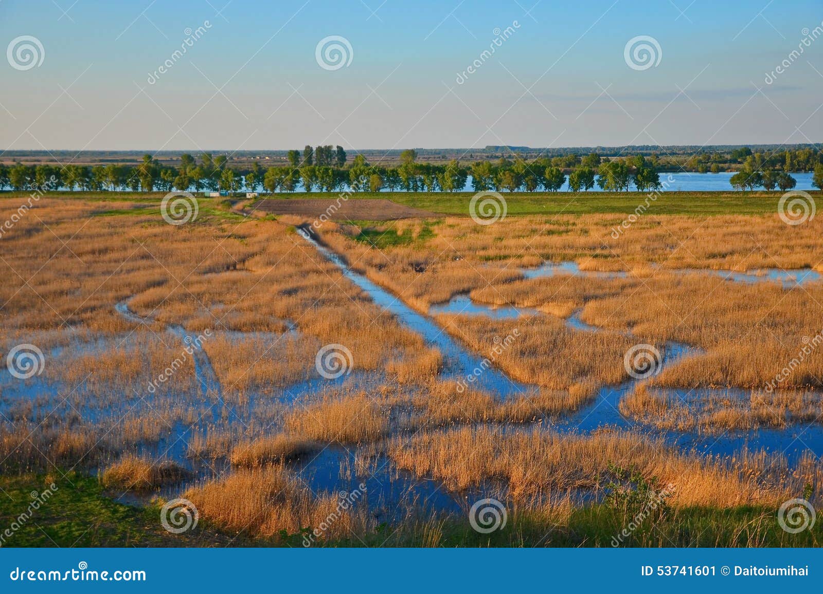 Danube Delta sunset stock image. Image of grasses, plants - 53741601