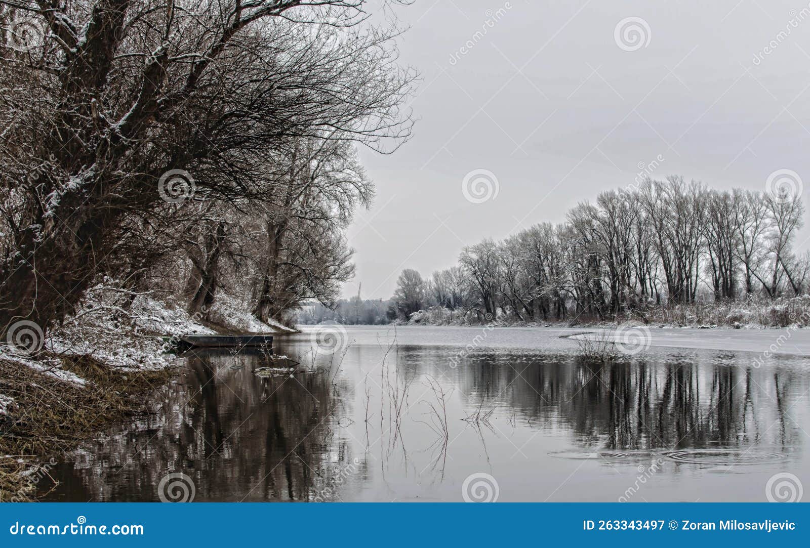 Danube River Delta in Winter Stock Image - Image of cold, rural: 263343497