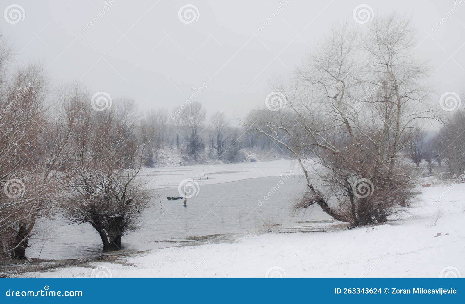 Danube River Delta in Winter Stock Photo - Image of morning, europa ...