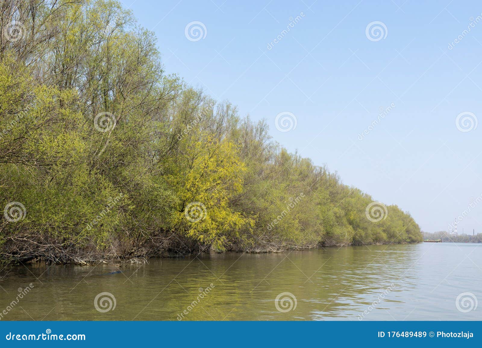 Danube River with Forest in the Background on the Sunny Day Stock Image ...