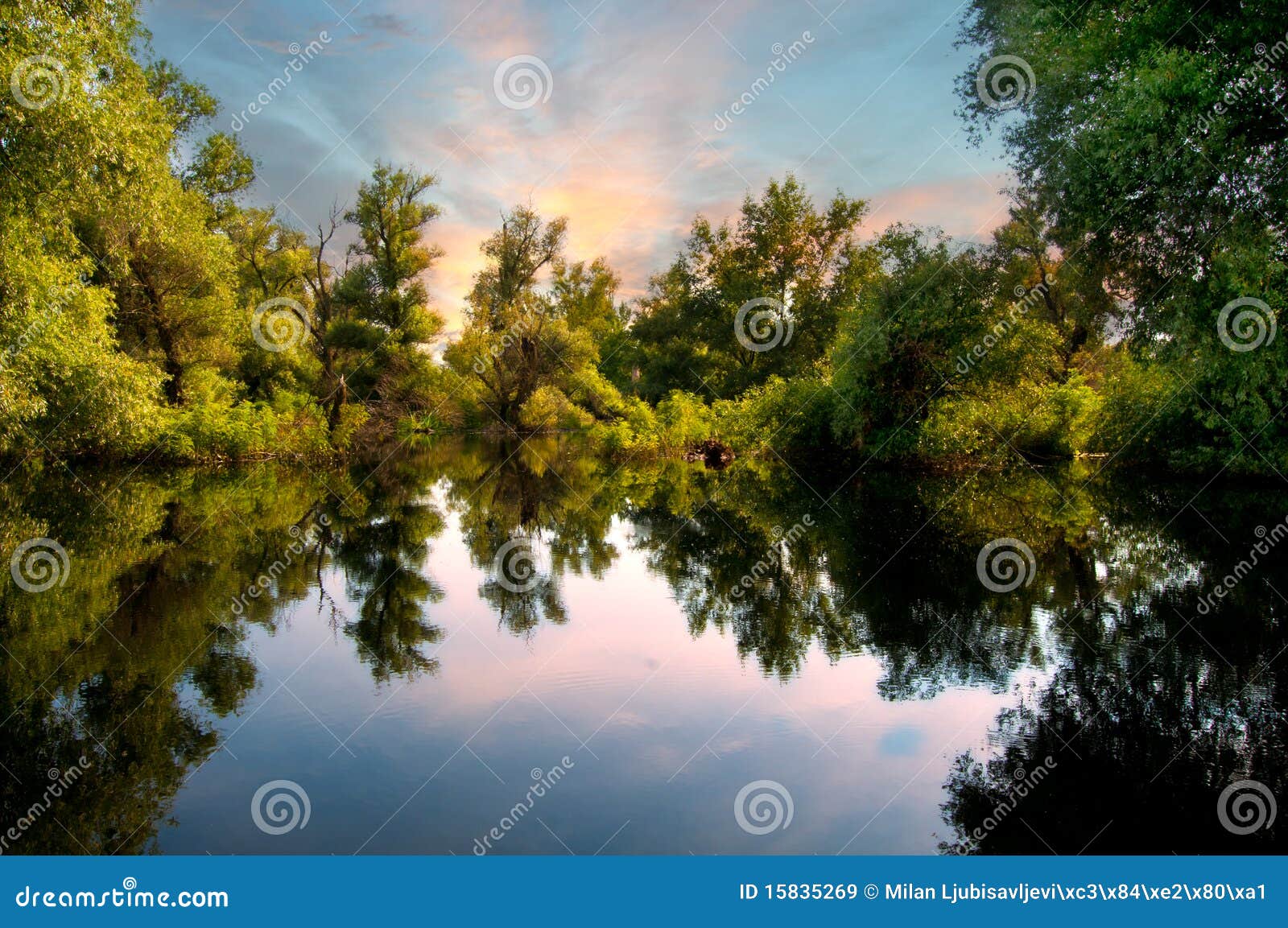 Danube river marshes stock image. Image of green, reflection - 15835269