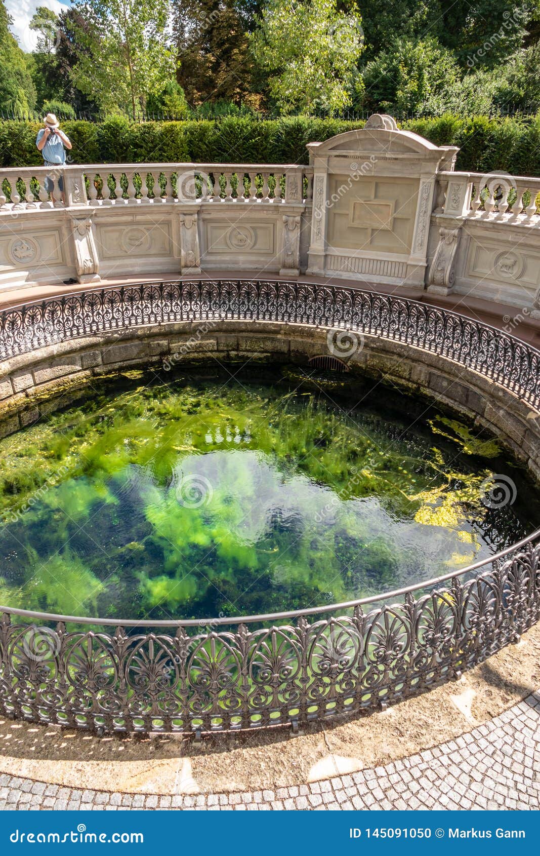 The Danube Spring in Donaueschingen Germany Editorial Image - Image of ...