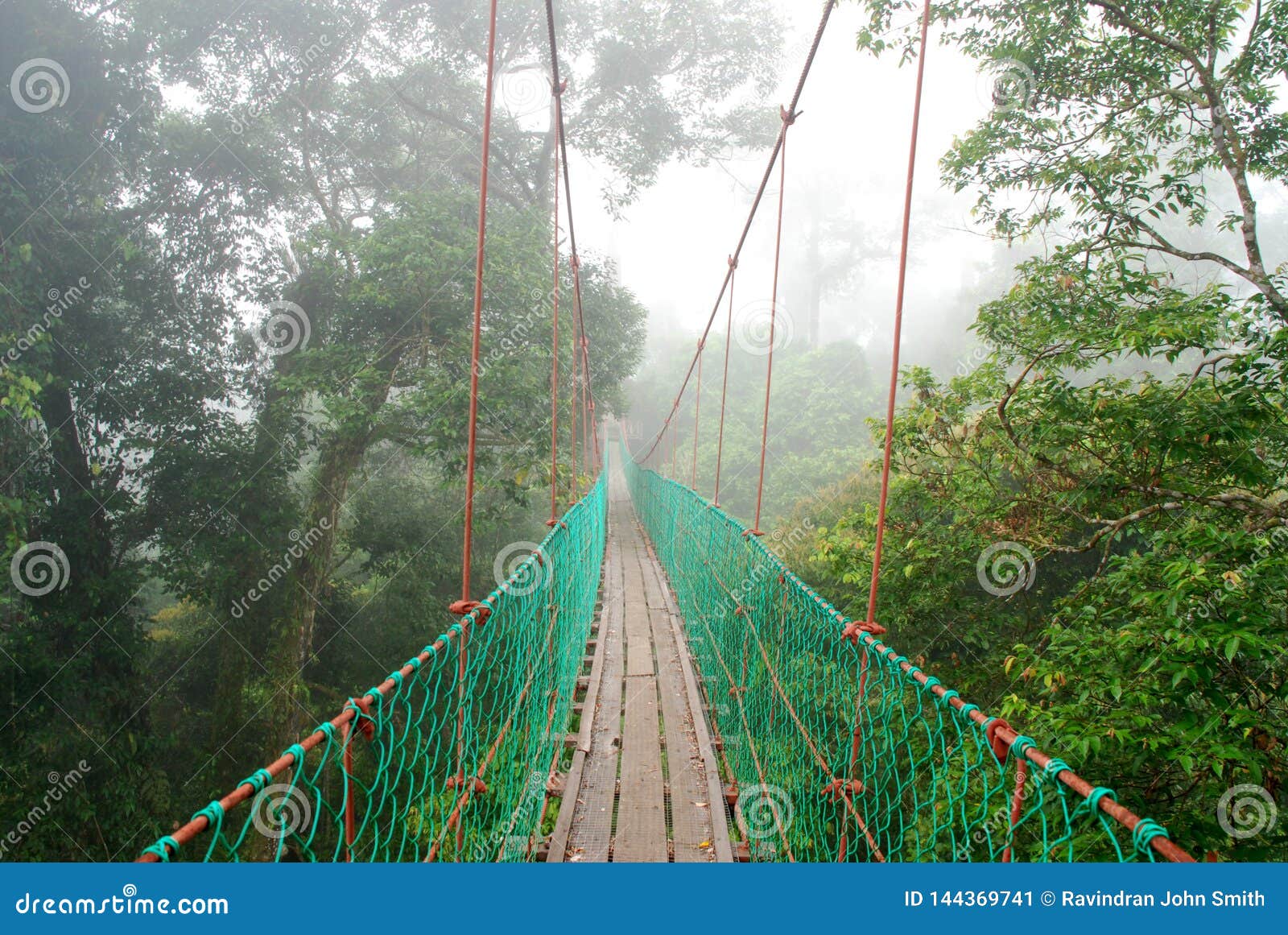Danum Valley Conservation Area Editorial Photo - Image of danum, sabah ...