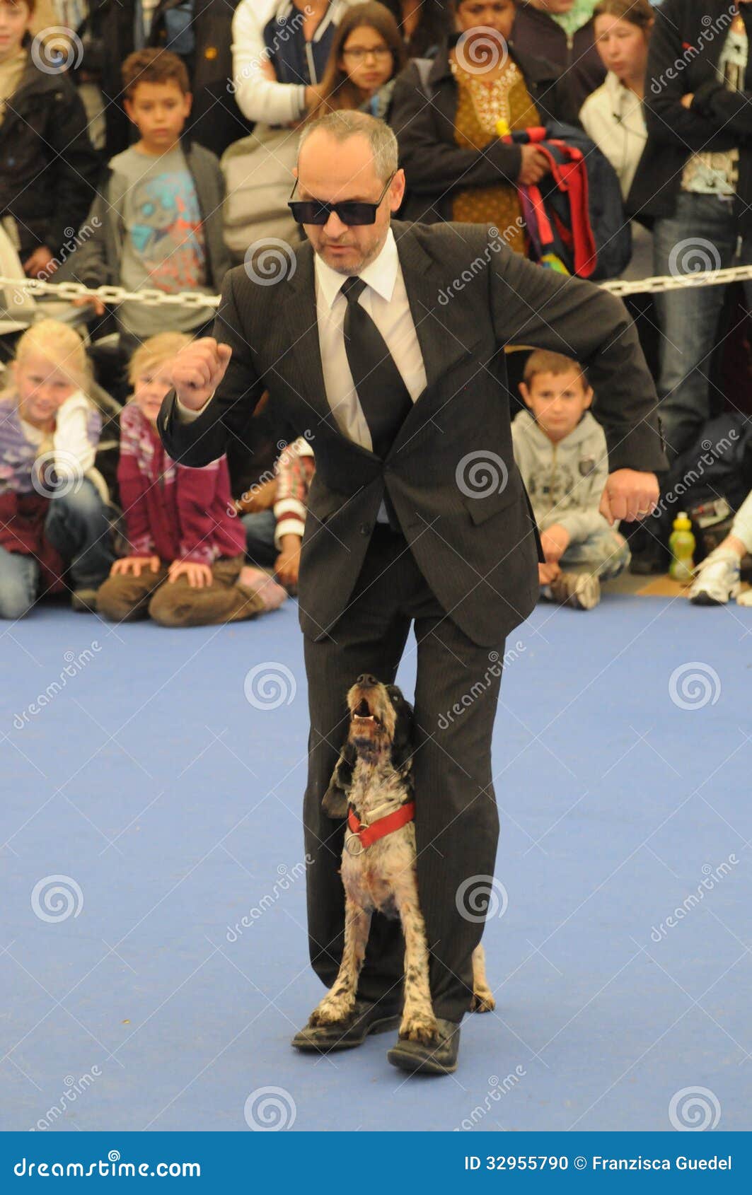 Danza del perro imagen editorial. Imagen de perro, lindo - 32955790