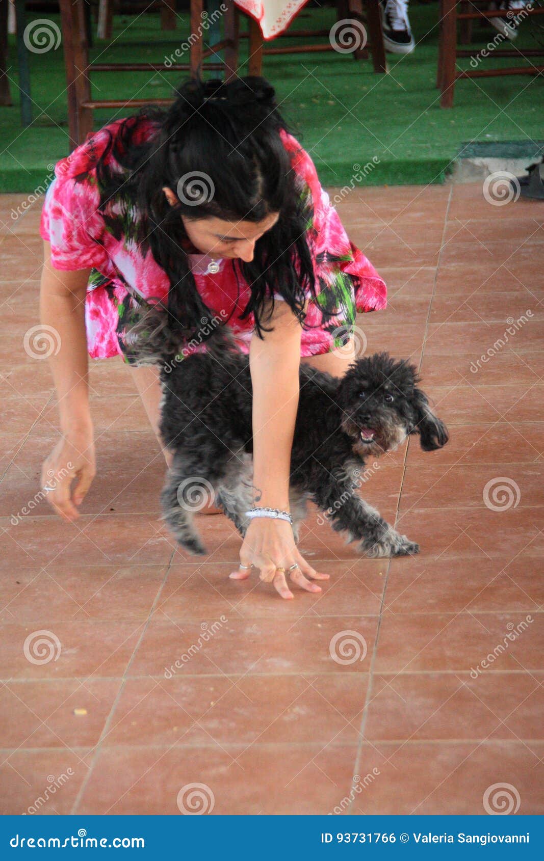 Danza del perro foto editorial. Imagen de sostenido, casta - 93731766