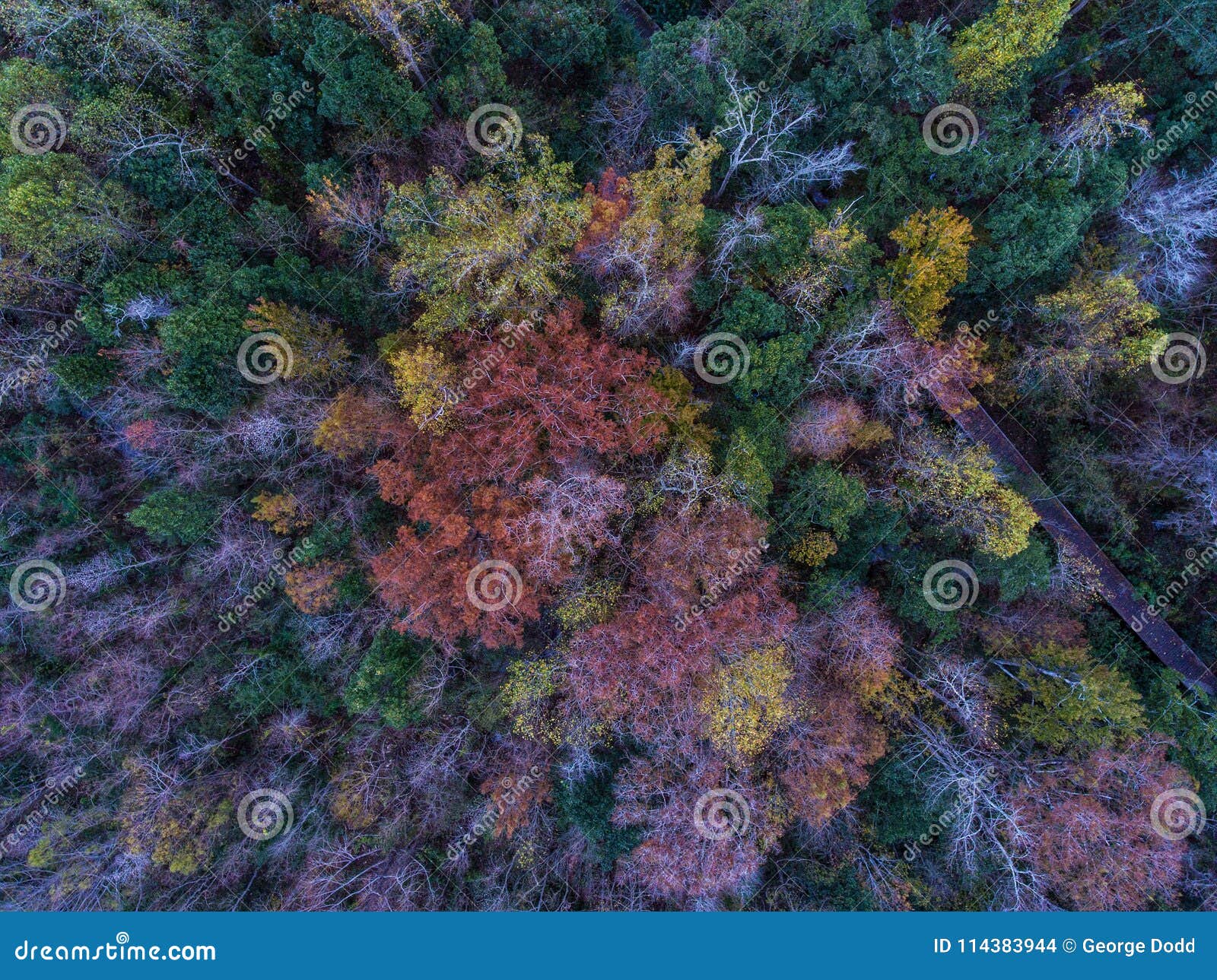 Autumn Trees in Coastal Alabama Stock Photo - Image of bayfront ...