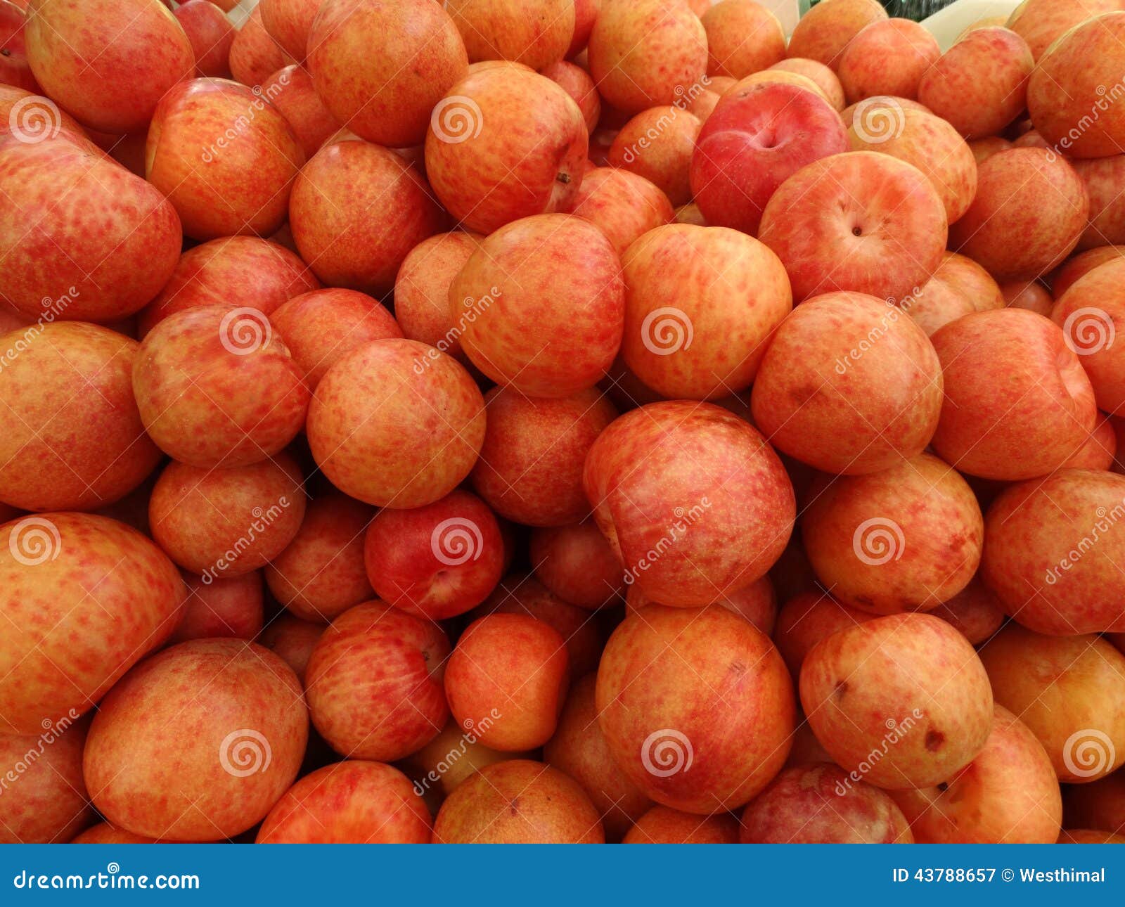 Dapple Dandy Pluot стоковое изображение. изображение насчитывающей ...