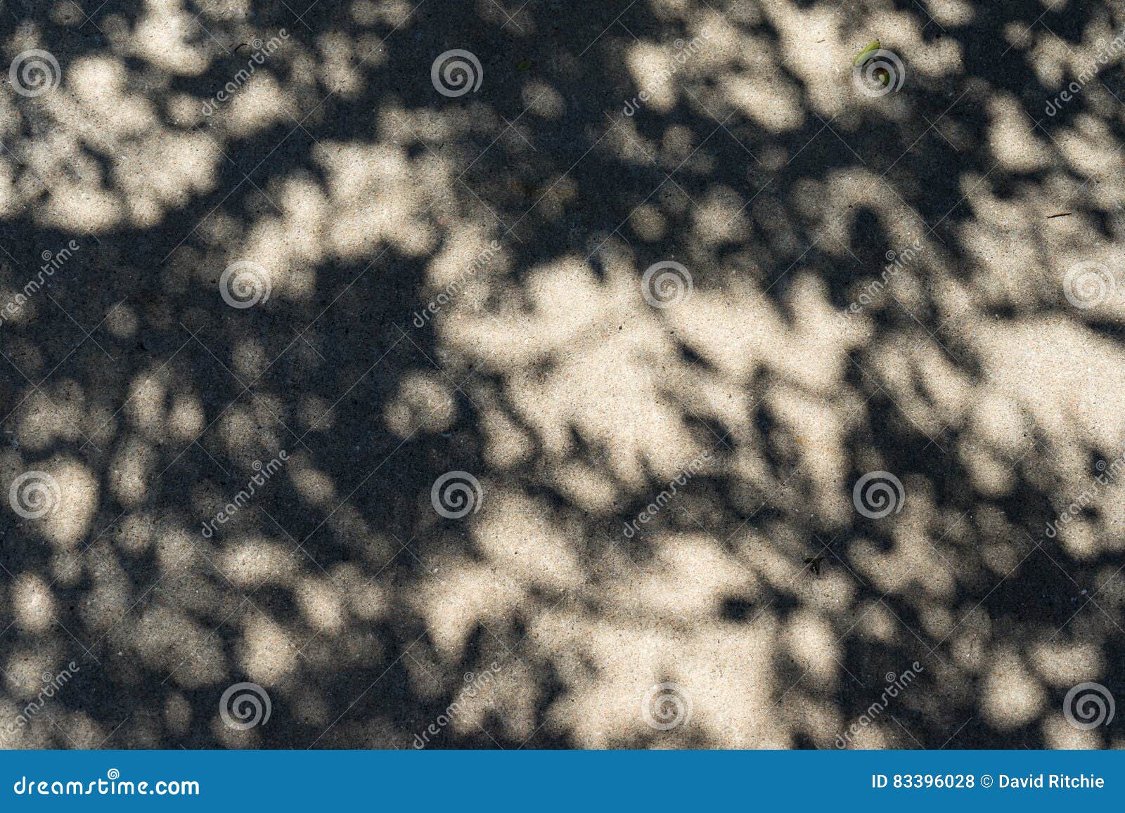Dappled Sunlight on Concrete, Tree Shadow, Background Stock Photo ...