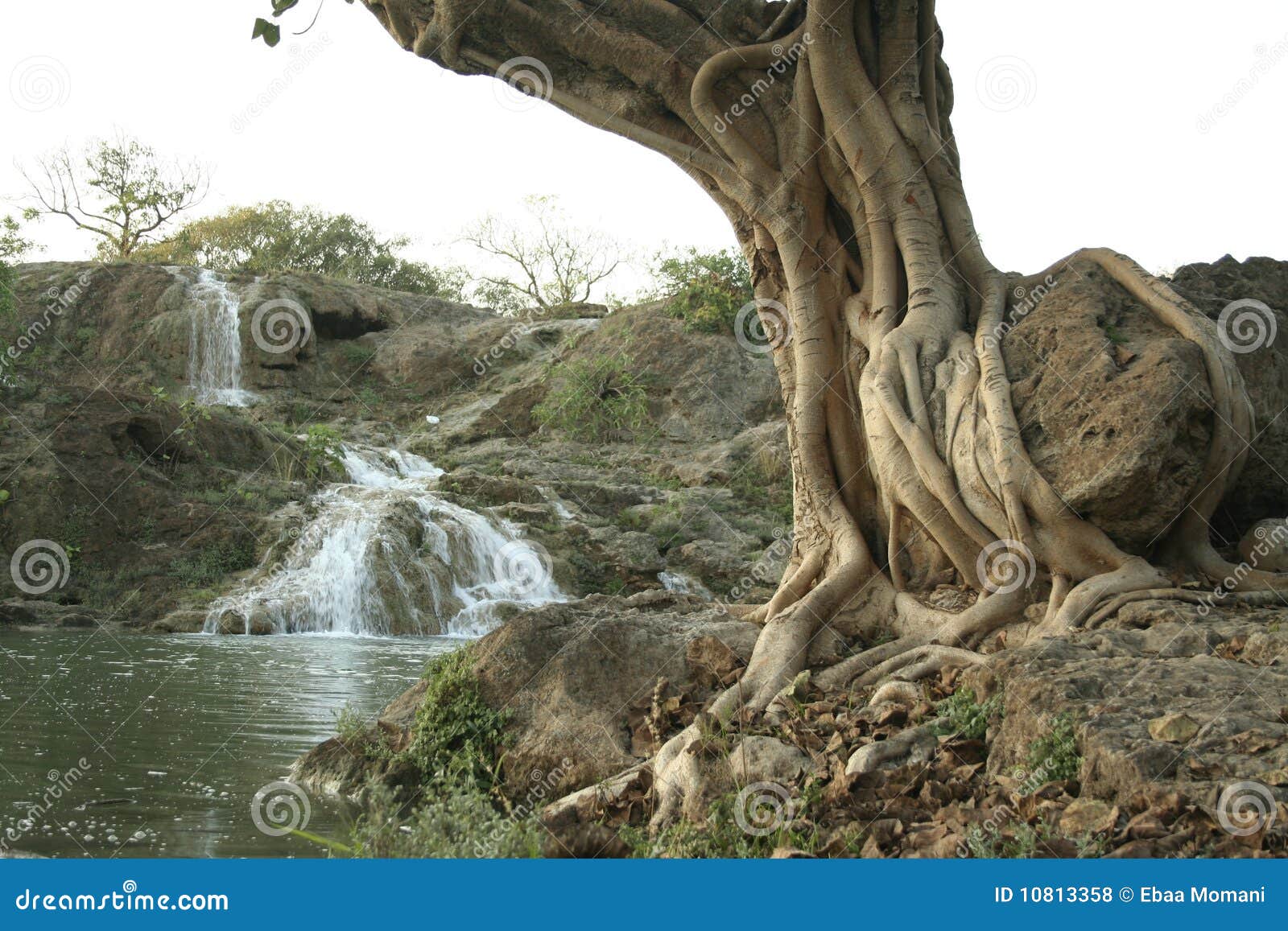 Darbat falls stock photo. Image of fallen, nature, plants - 10813358