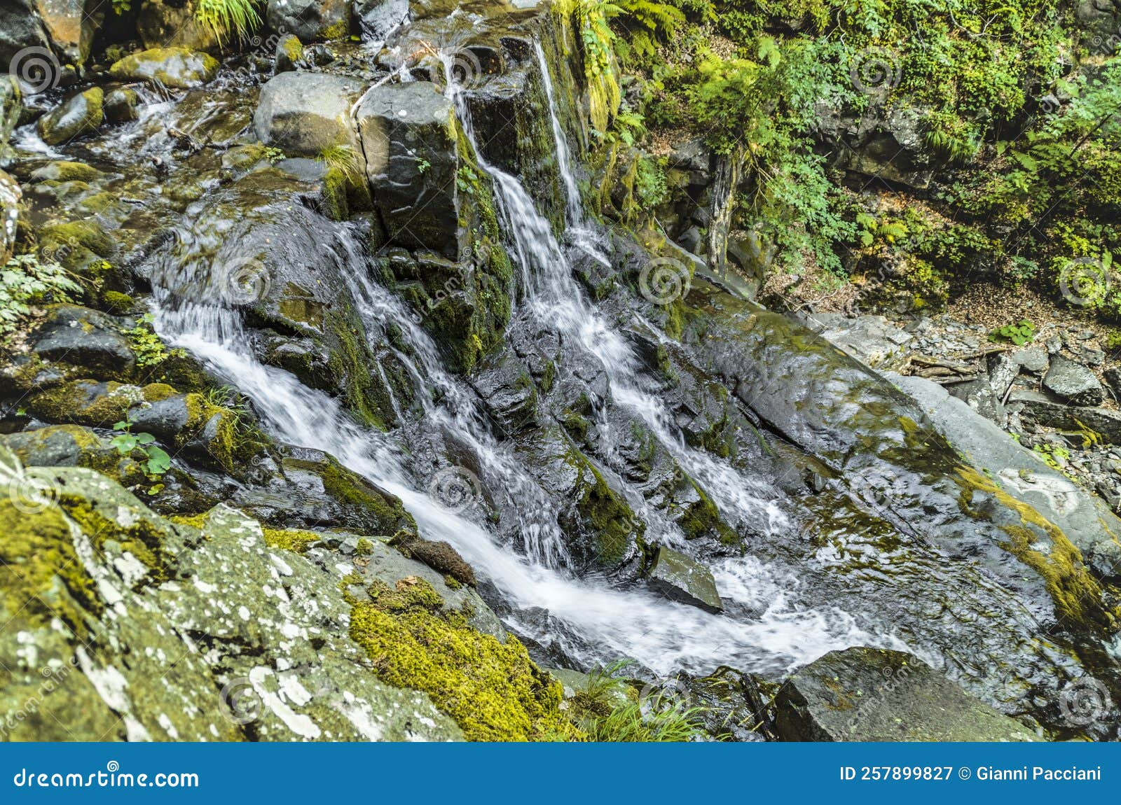 Dardagna Waterfalls in Summer Stock Image - Image of summer, scale ...