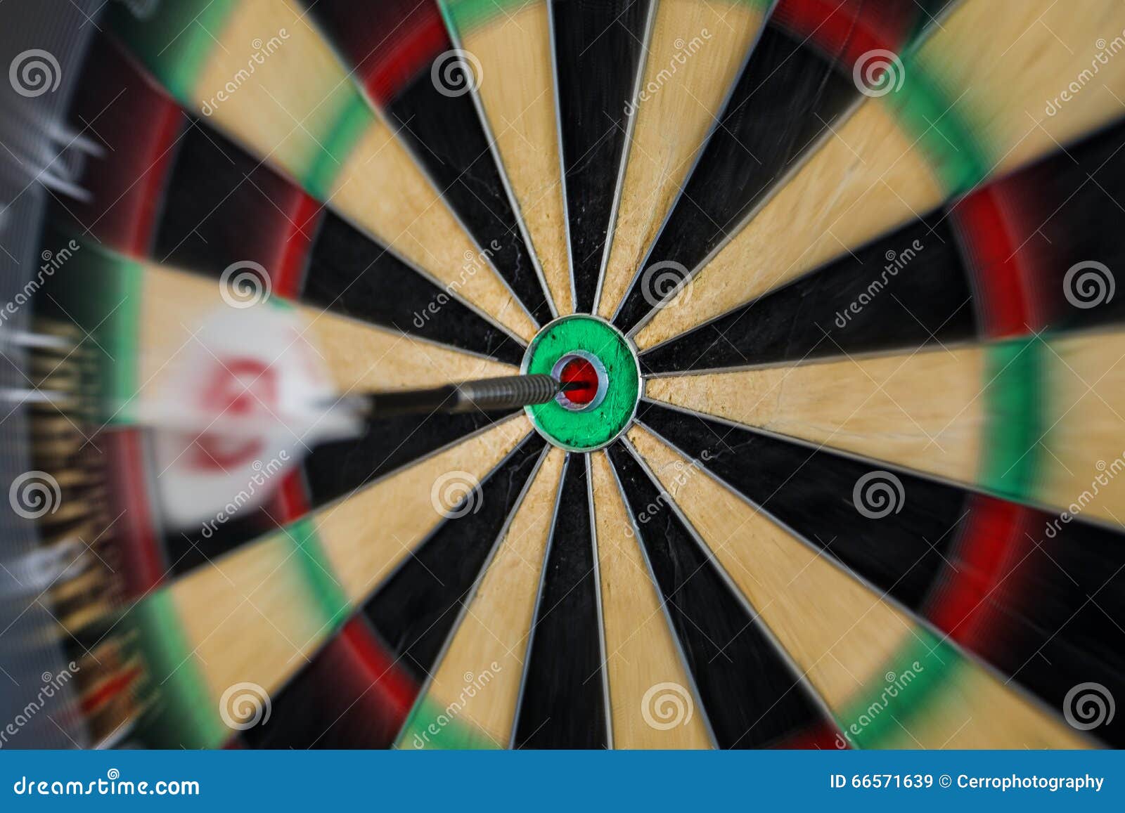 Darde la boudine image stock. Image du dards, exactitude - 66571639