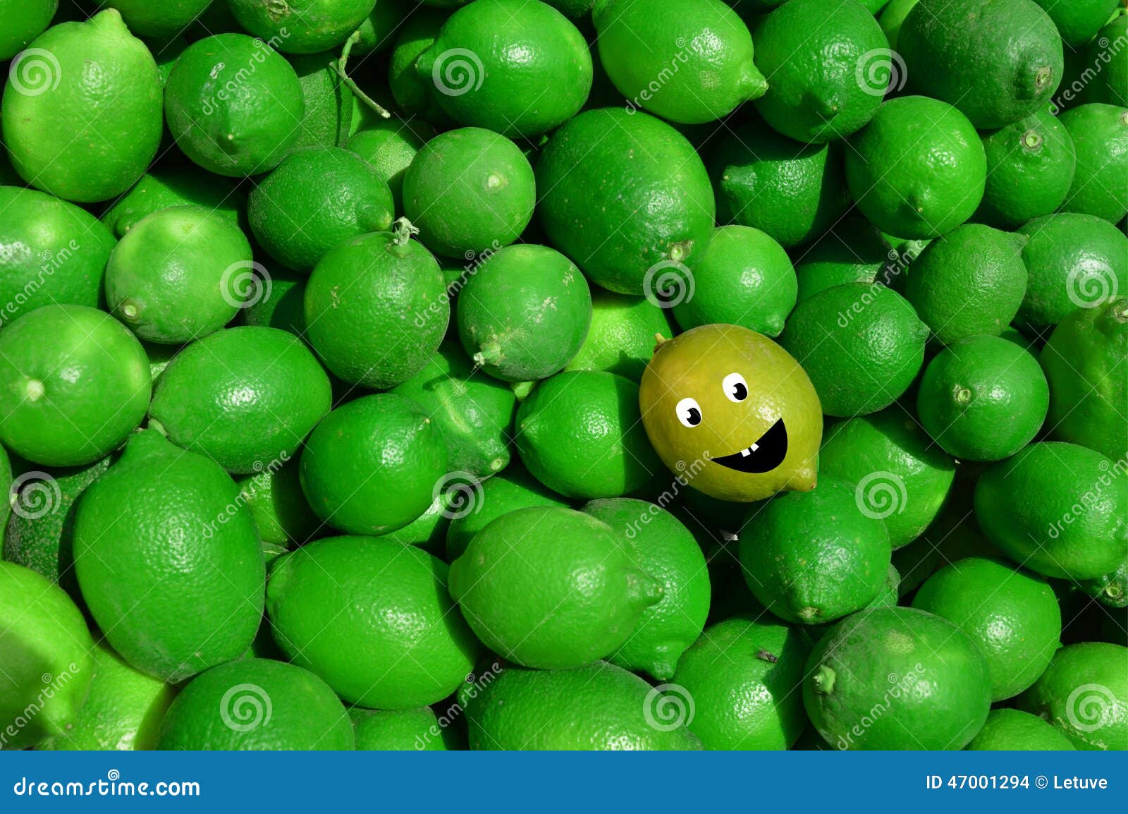 Dare to be different stock photo. Image of fruit, lemon - 47001294