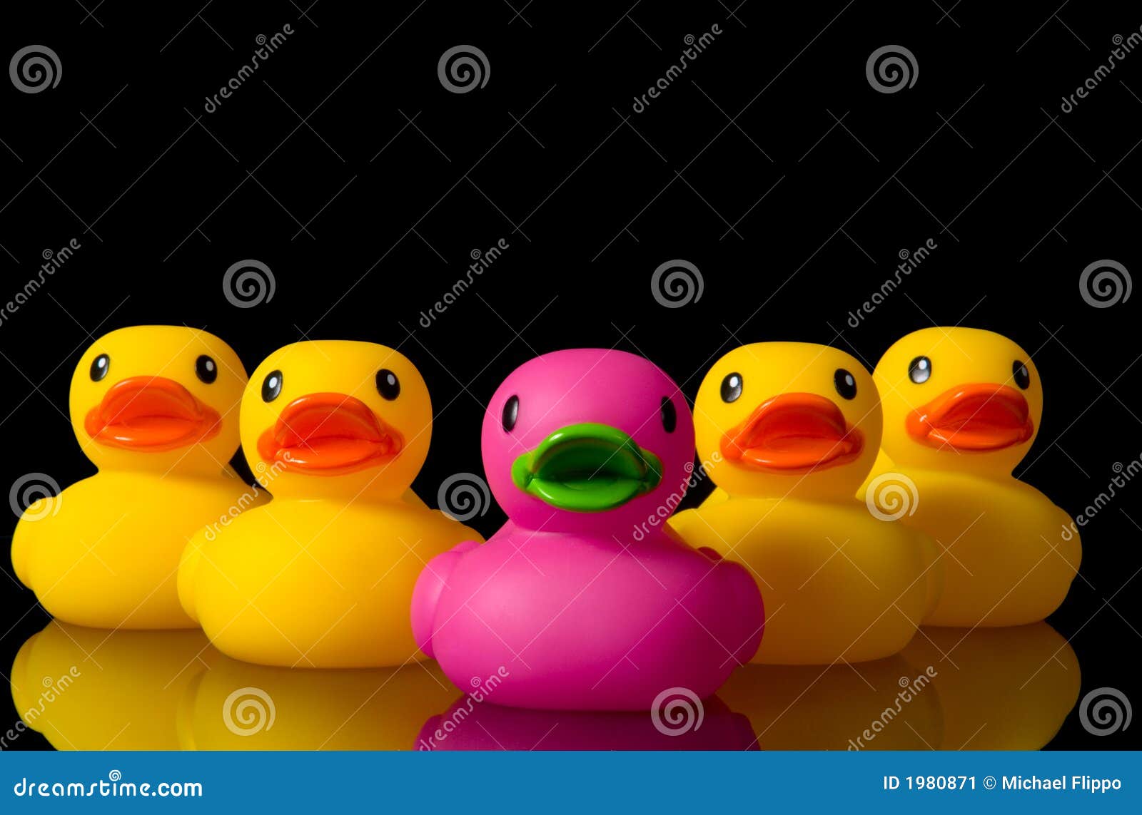 Dare To Be Different - Rubber Ducks on Black Stock Image - Image of ...