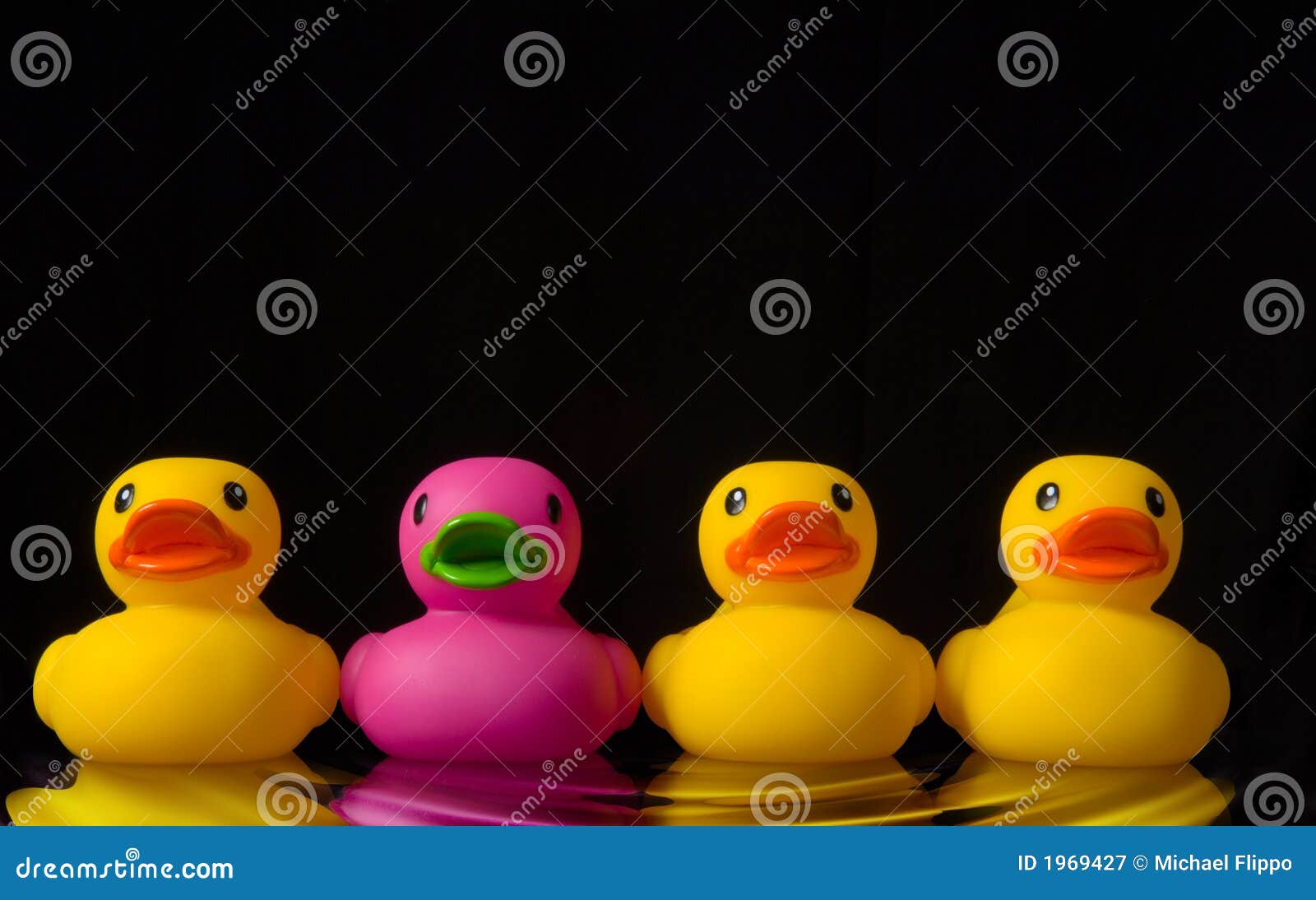 Dare To Be Different - Rubber Ducks on Black - with Water Ripple Stock ...