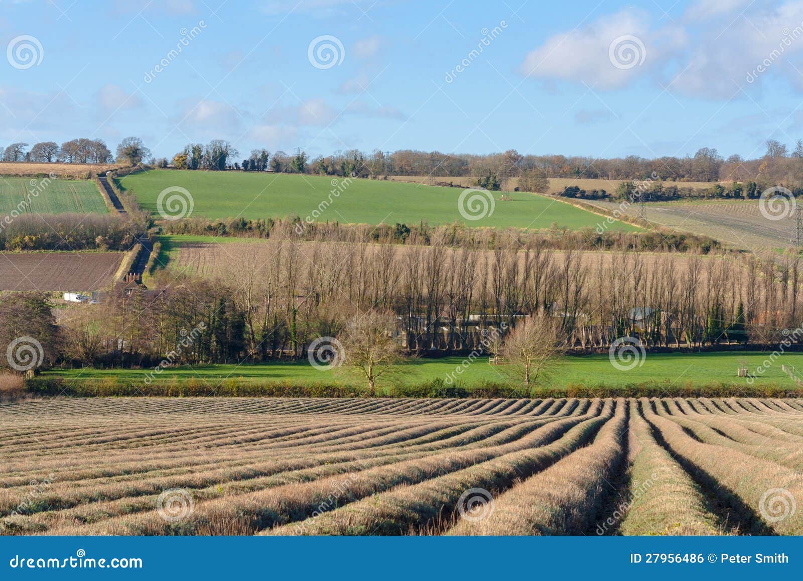 Kent countryside uk stock photo. Image of green, nature - 27956486