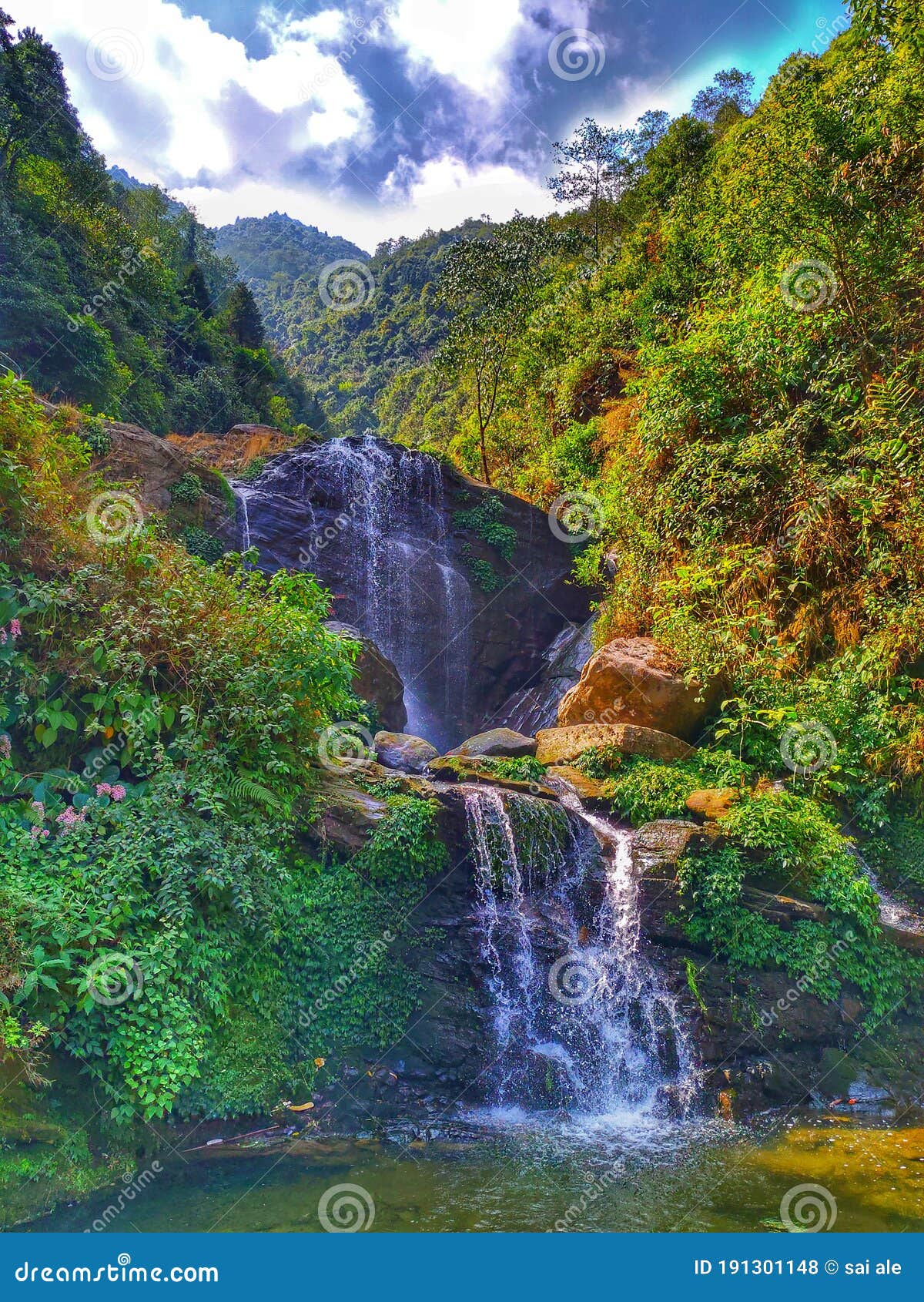 Darjeeling Dairies Waterfall Stock Photo - Image of leaf, watercourse ...