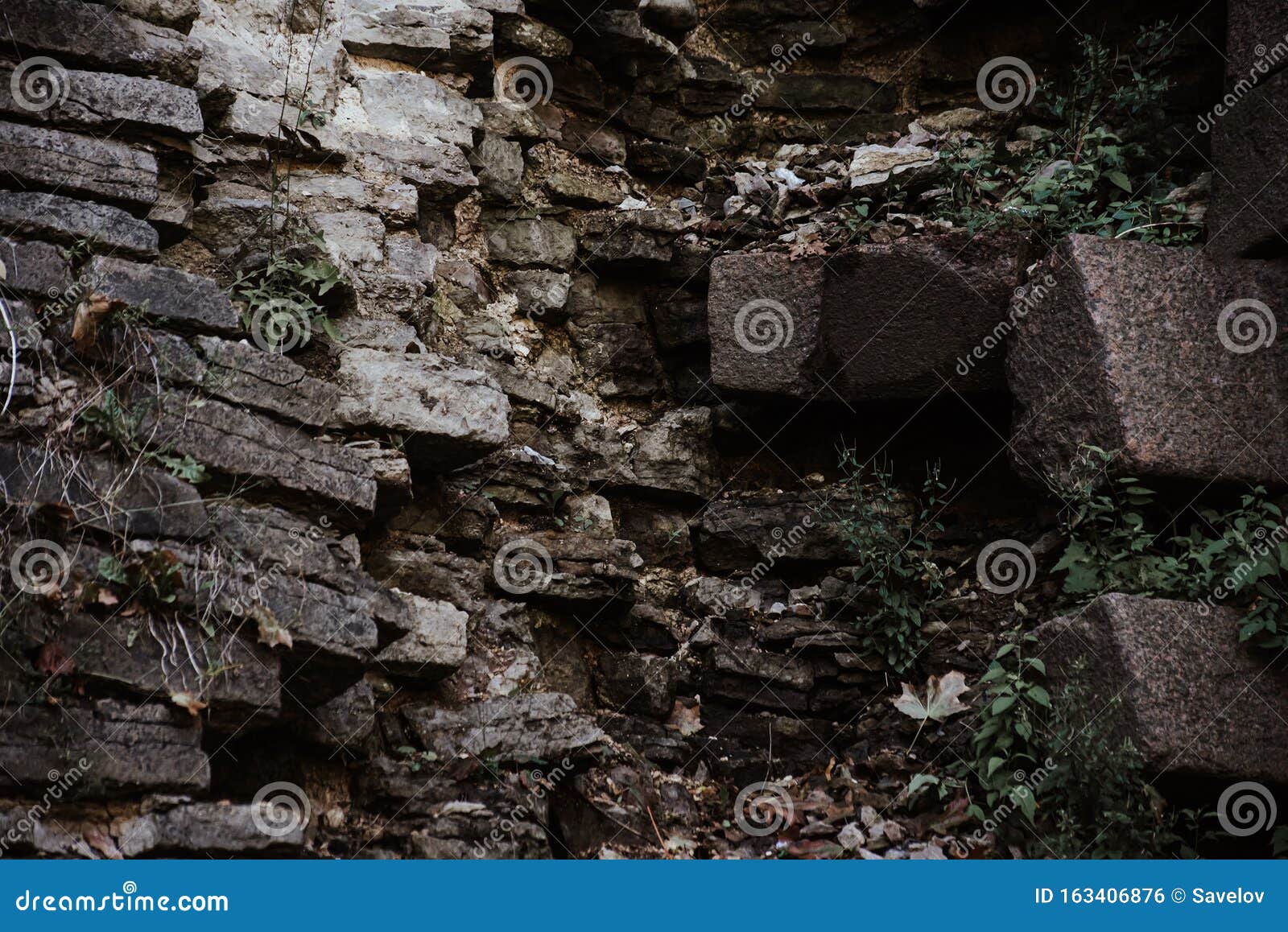 Dark Ancient Stone Wall Overgrown with Vegetation Stock Photo - Image ...