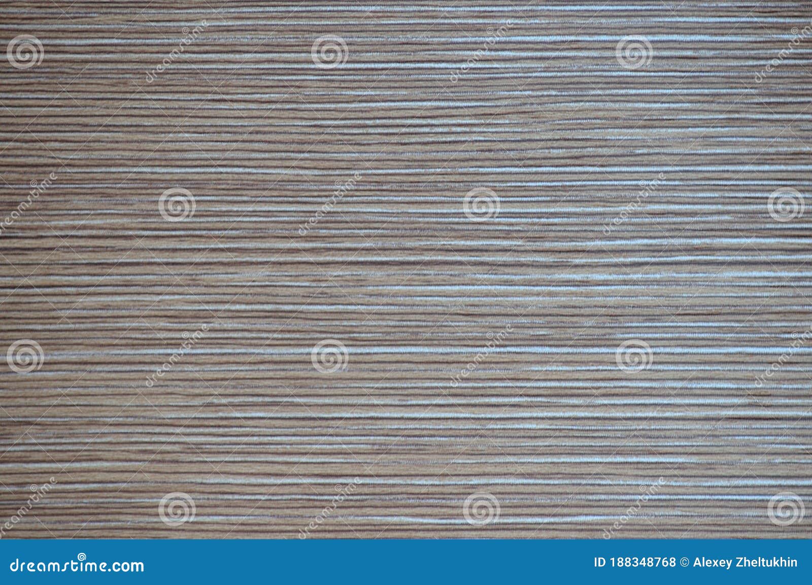 Dark Ash, Texture of a Natural Pattern with Lines on a Saw Closeup ...