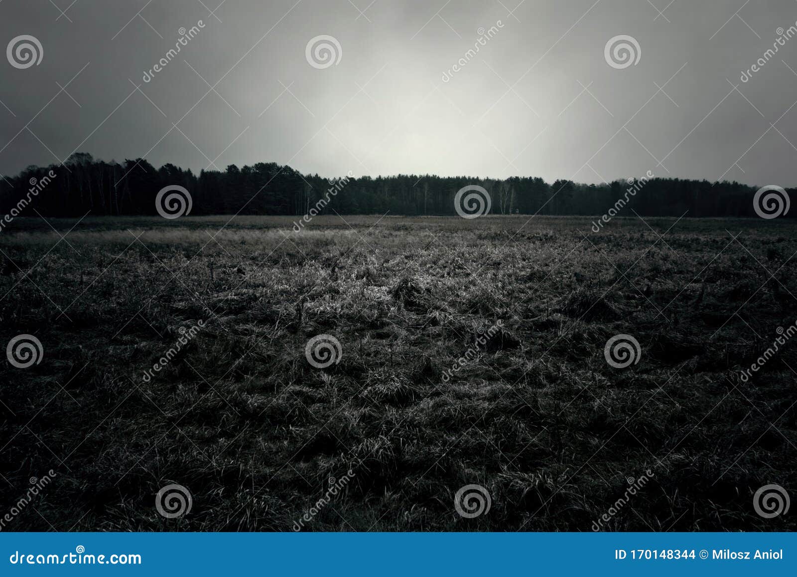 Dark cloudy field stock photo. Image of thunderstorm - 170148344