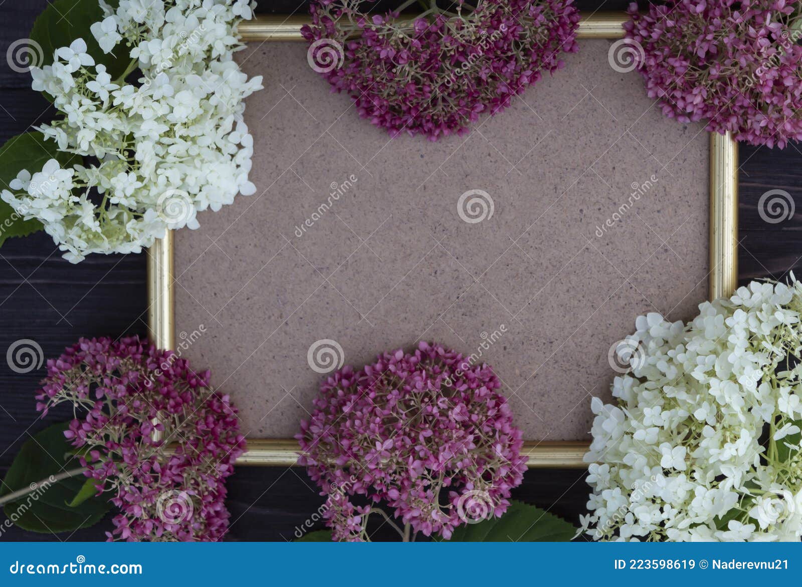 A Golden Frame Framed by White and Pink Hydrangeas Stock Image - Image ...