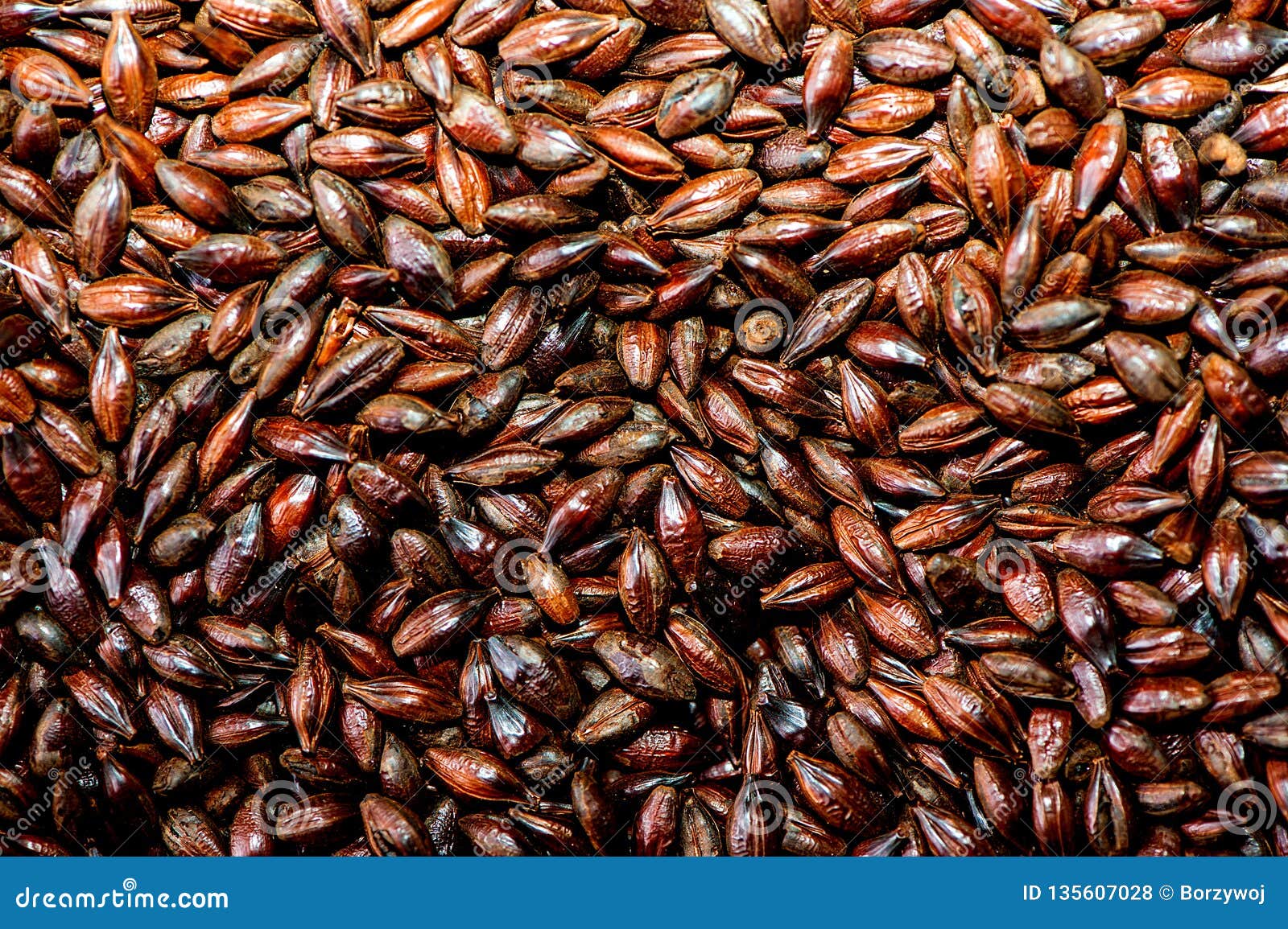 Dark barley malt stock photo. Image of brewing, cereal - 135607028