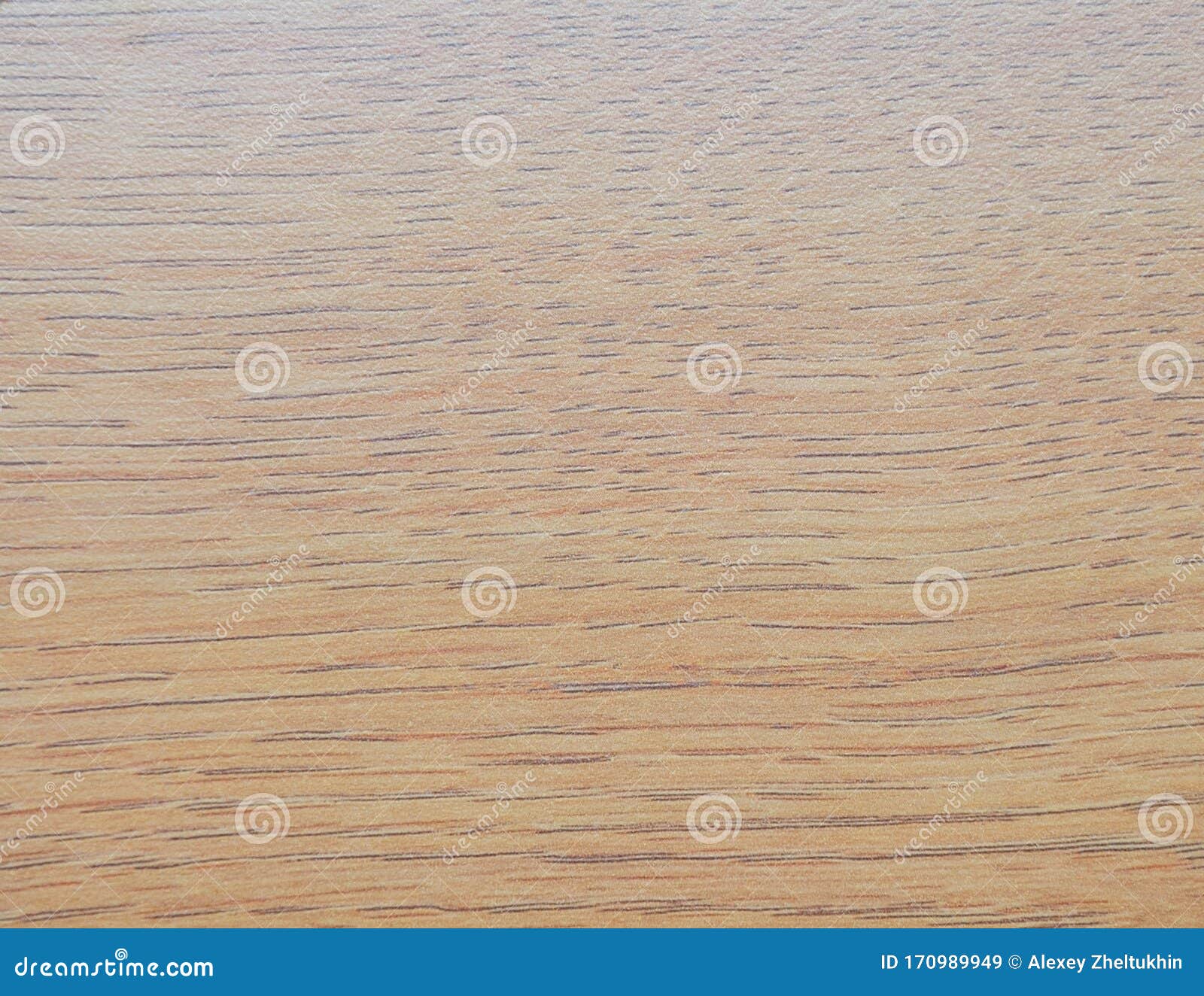 Dark Beech, Natural Pattern Closeup Texture of Sawn Wood Stock Image ...