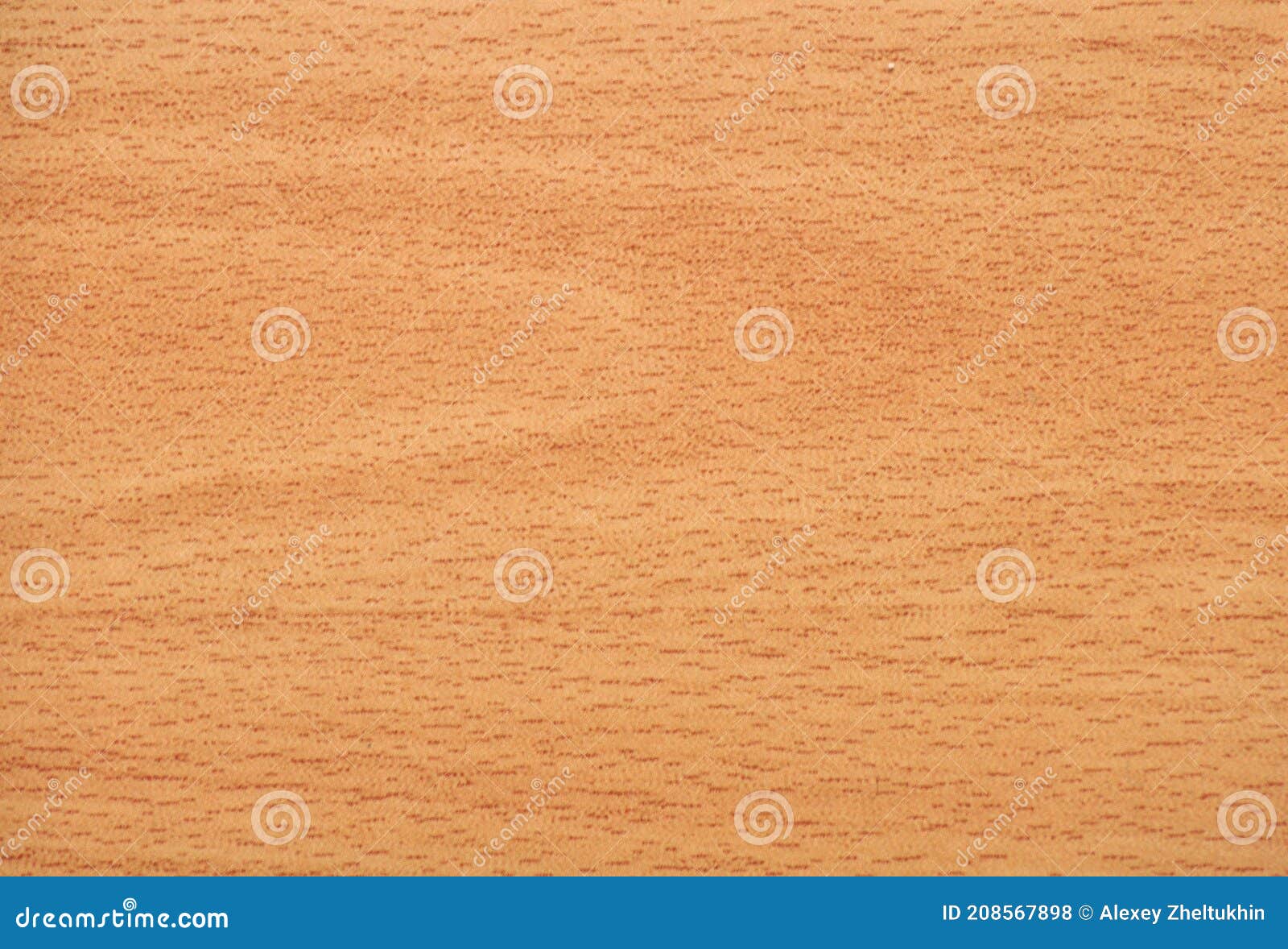 Dark Beech, Rich Natural Wood Grain Close-up Stock Photo - Image of ...