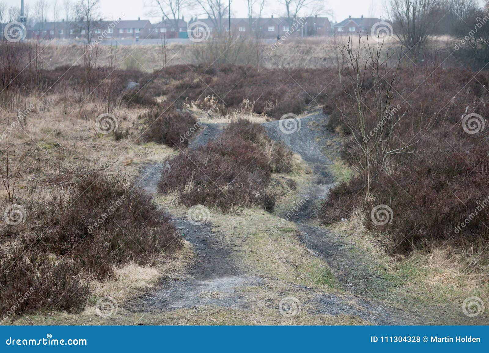 Black Tracks stock photo. Image of walking, field, walk - 111304328