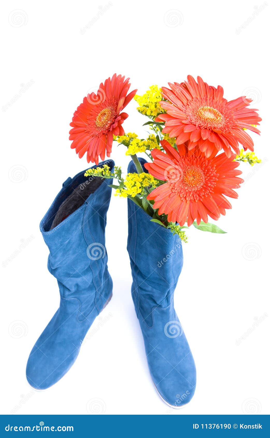 Dark blue boot and flowers stock photo. Image of closeup - 11376190