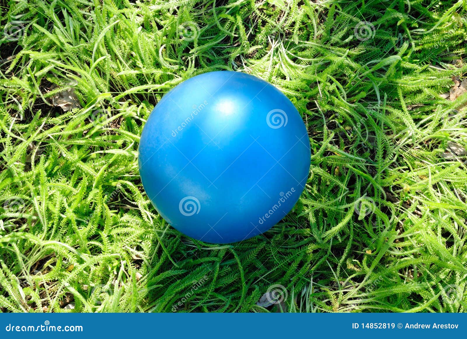 Dark Blue Children S Ball on a Grass Stock Image - Image of bright ...