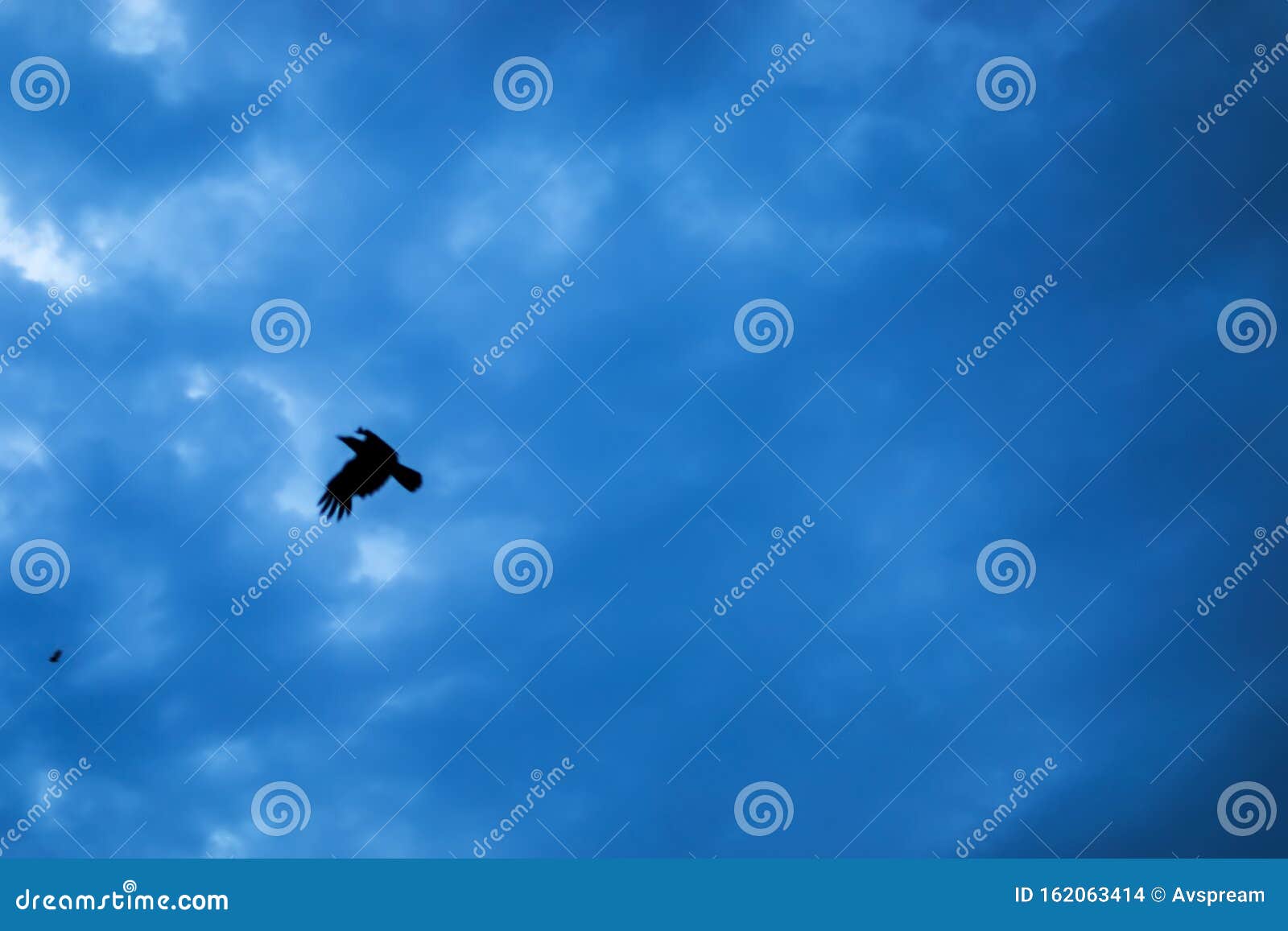 Dark Blue Cloud with White Light Sky Background, Flying Crow Stock ...