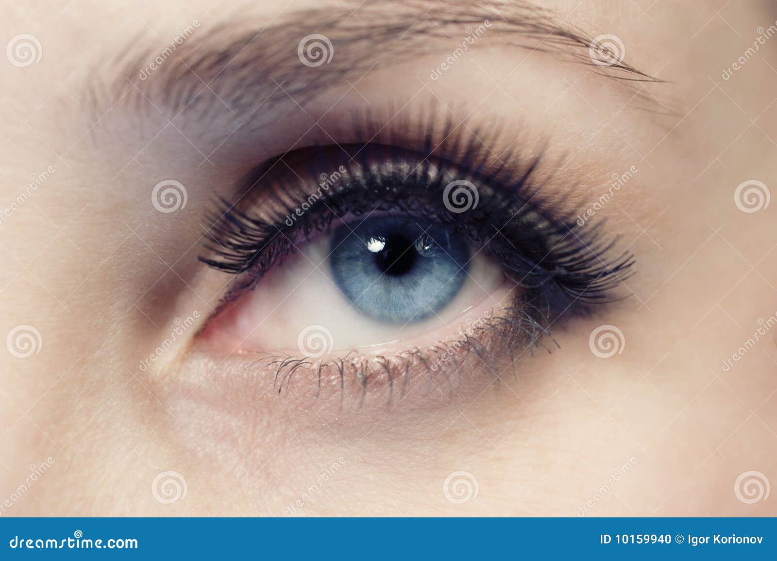 Dark blue eye close up stock photo. Image of eyelashes - 10159940