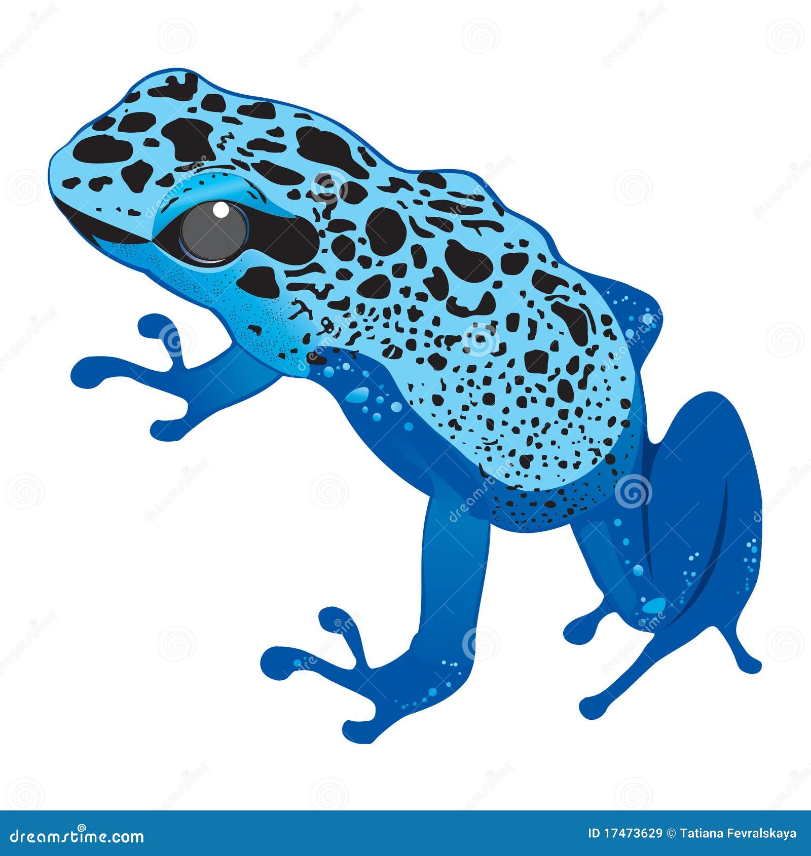 Blue Frog Clipart