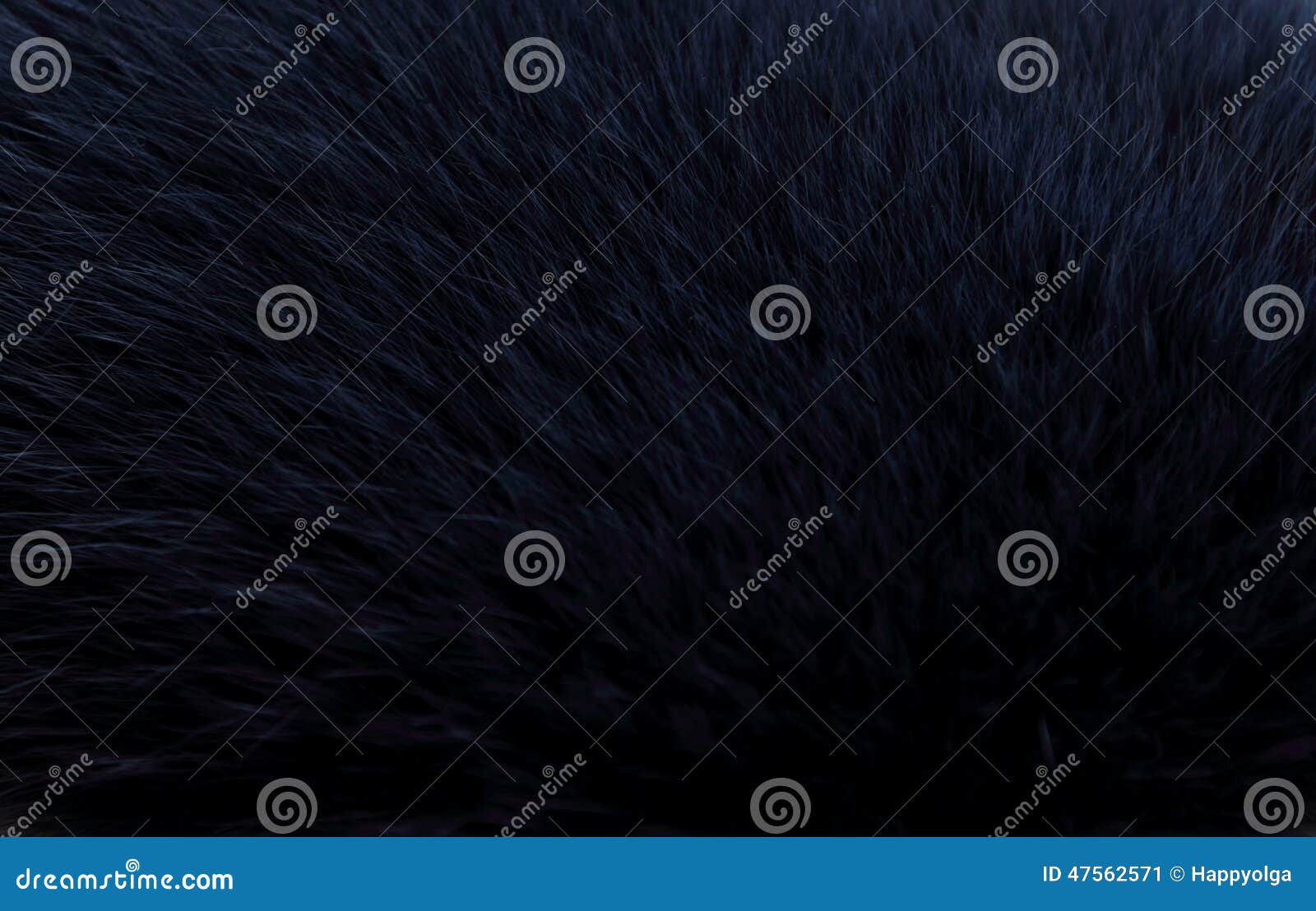 Dark blue fur stock image. Image of painted, winter, color - 47562571