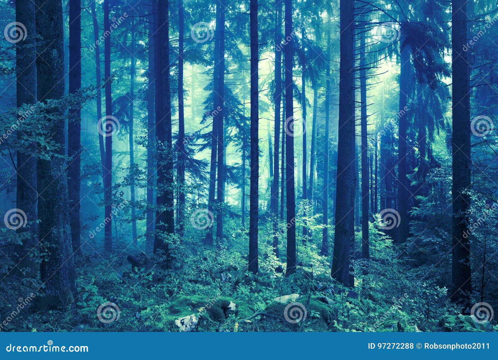 Dark Blue and Green Forest Landscape Stock Photo - Image of foliage ...