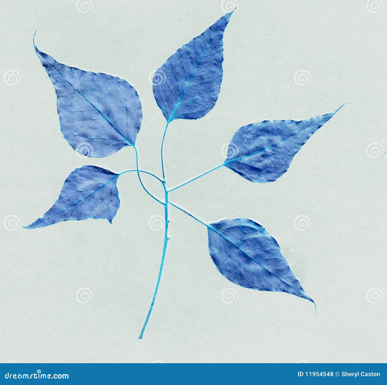 Dark Blue Leaf Pattern Texture Background Stock Photo - Image of ...