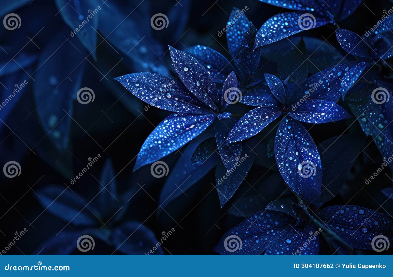 Dark Blue Plant with Water Drops on it Stock Photo - Image of dark ...