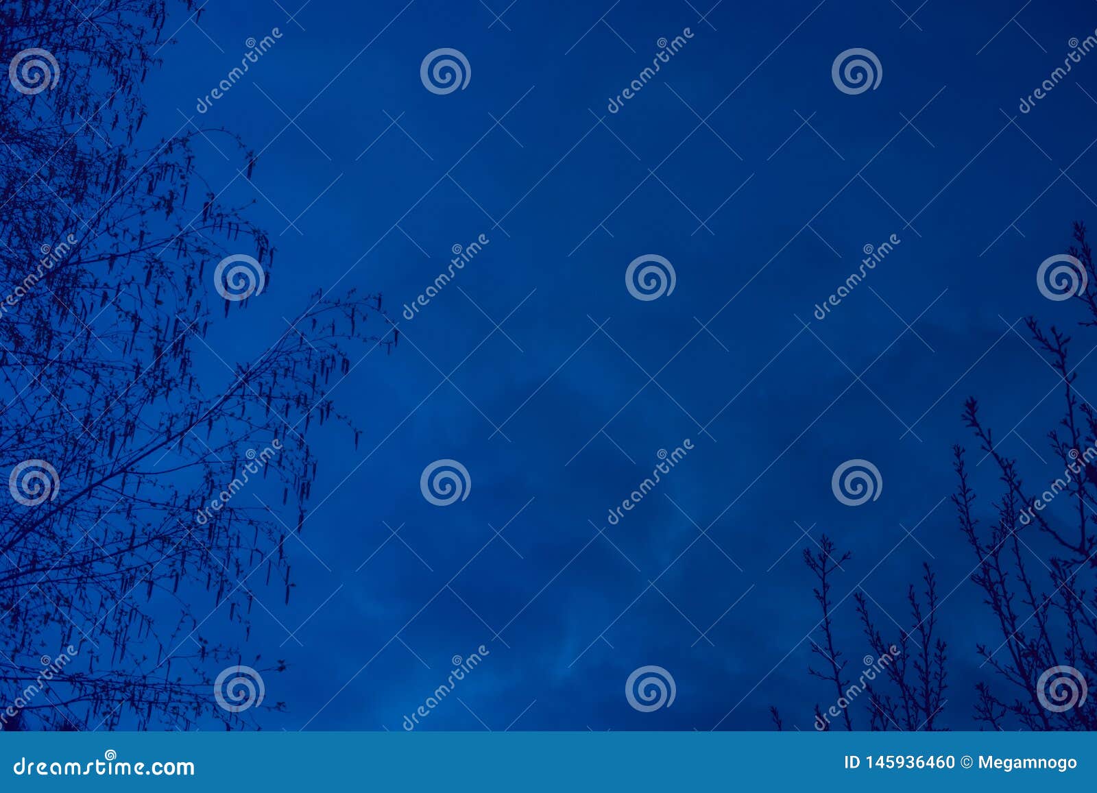 Dark Blue Sky with Tree Branches on Both Sides Stock Photo - Image of ...