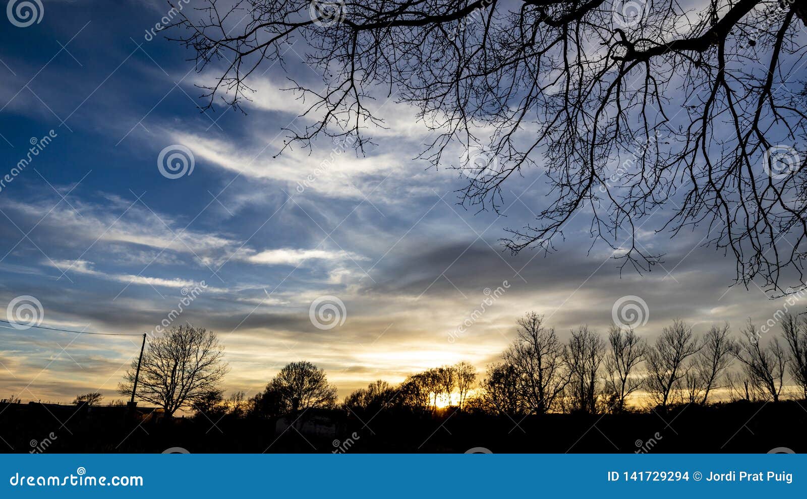 Dark Blue Sunset Sky with Tree Silhouettes Landscape Stock Photo ...