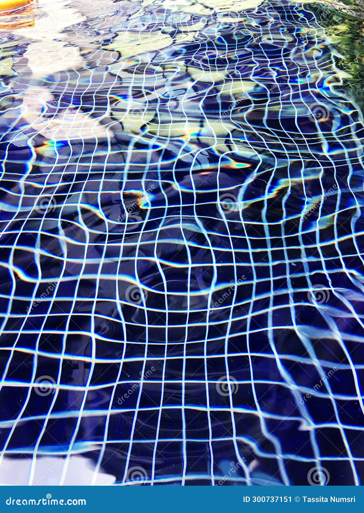 Dark Blue Swimming Pool Water with Tiles and Palm Tree Shadow Stock ...