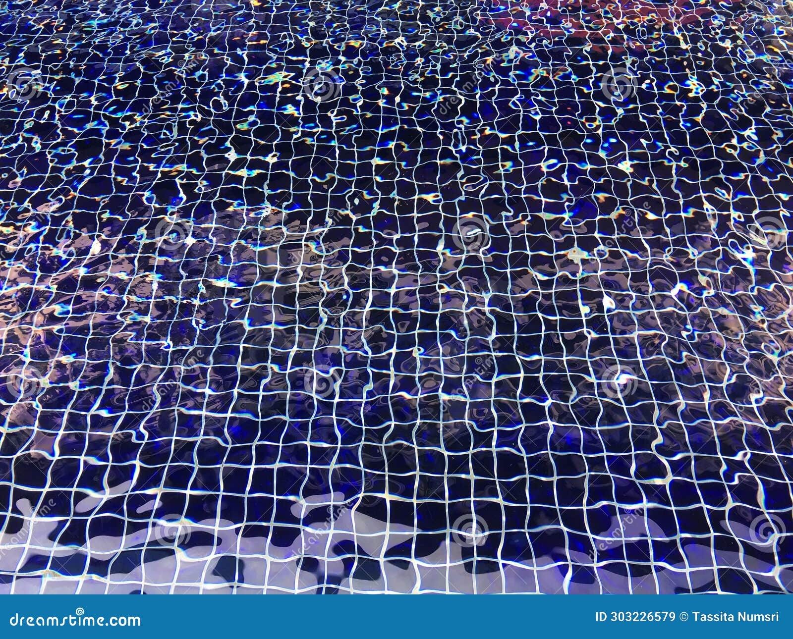 Dark Blue Swimming Pool Water with Tiles and Palm Tree Shadow Stock ...
